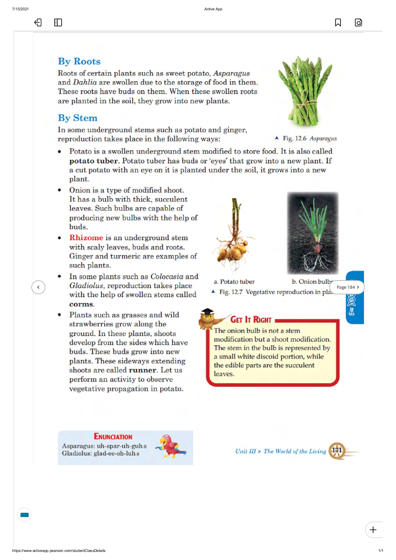universal science-7 - THE MANTHAN SCHOOL - Page 183 | Flip PDF Online ...