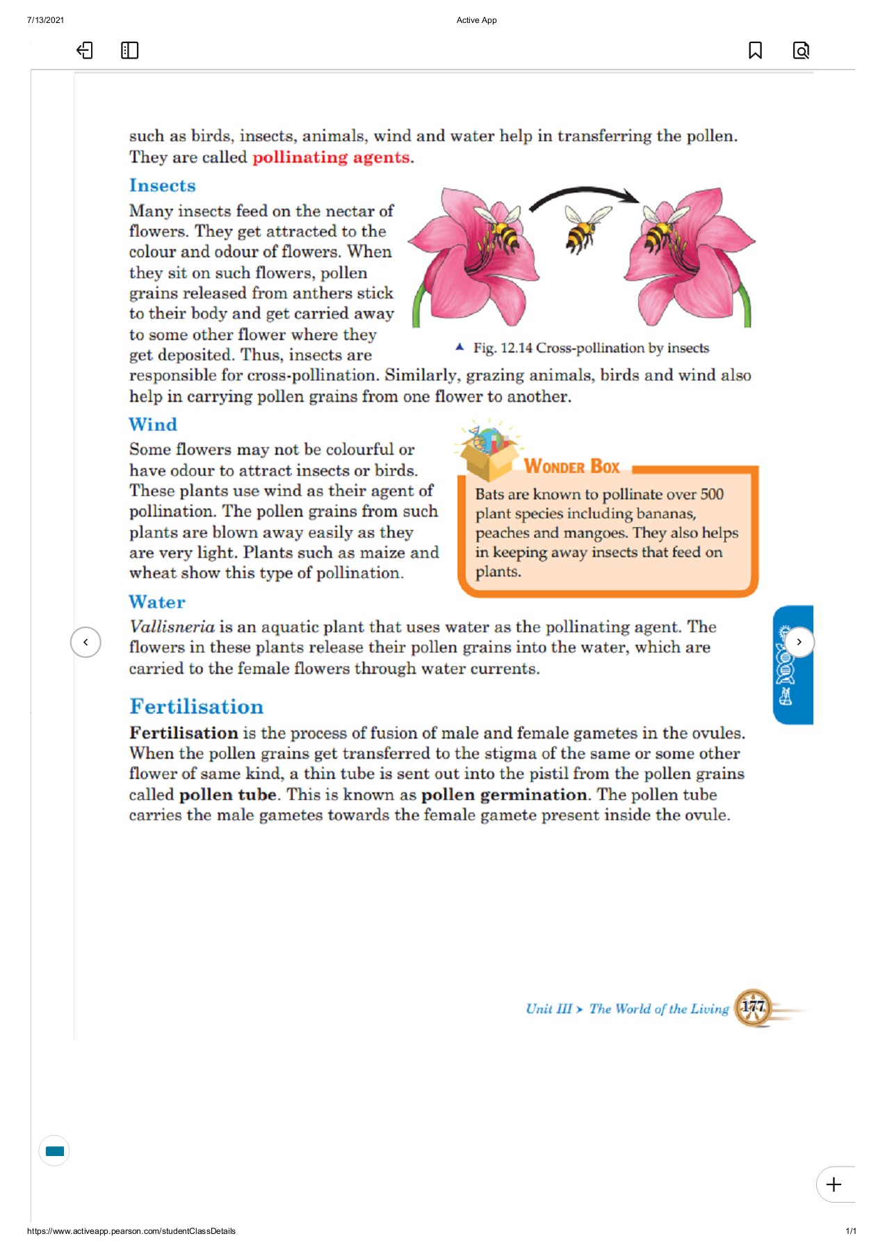 universal science-7 - THE MANTHAN SCHOOL - Page 189 | Flip PDF Online ...