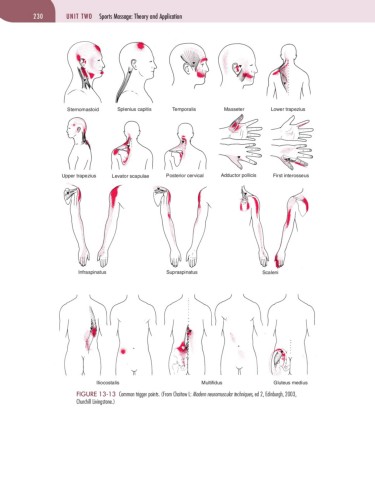 Sports & exercise massage _ comprehensive care in athletics, fitness ...