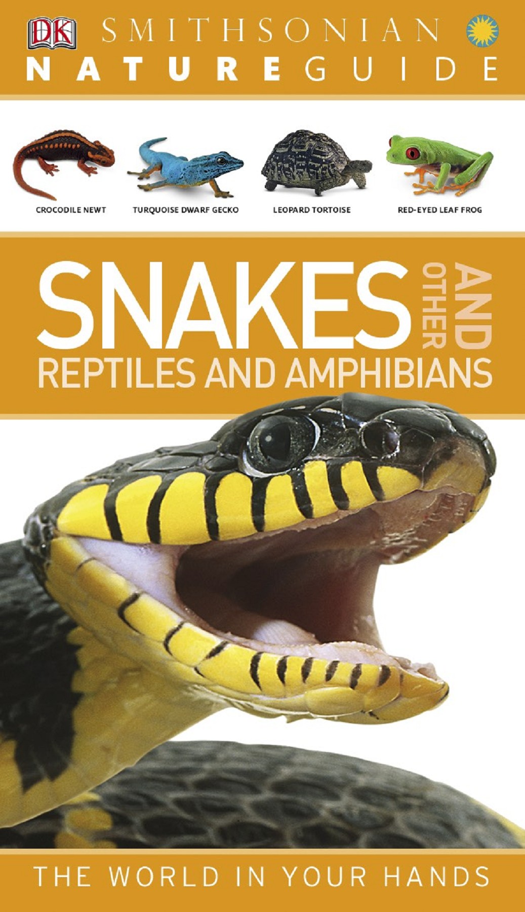 Nature Guide_ Snakes and Other Reptiles and Amphibians_clone - THE ...