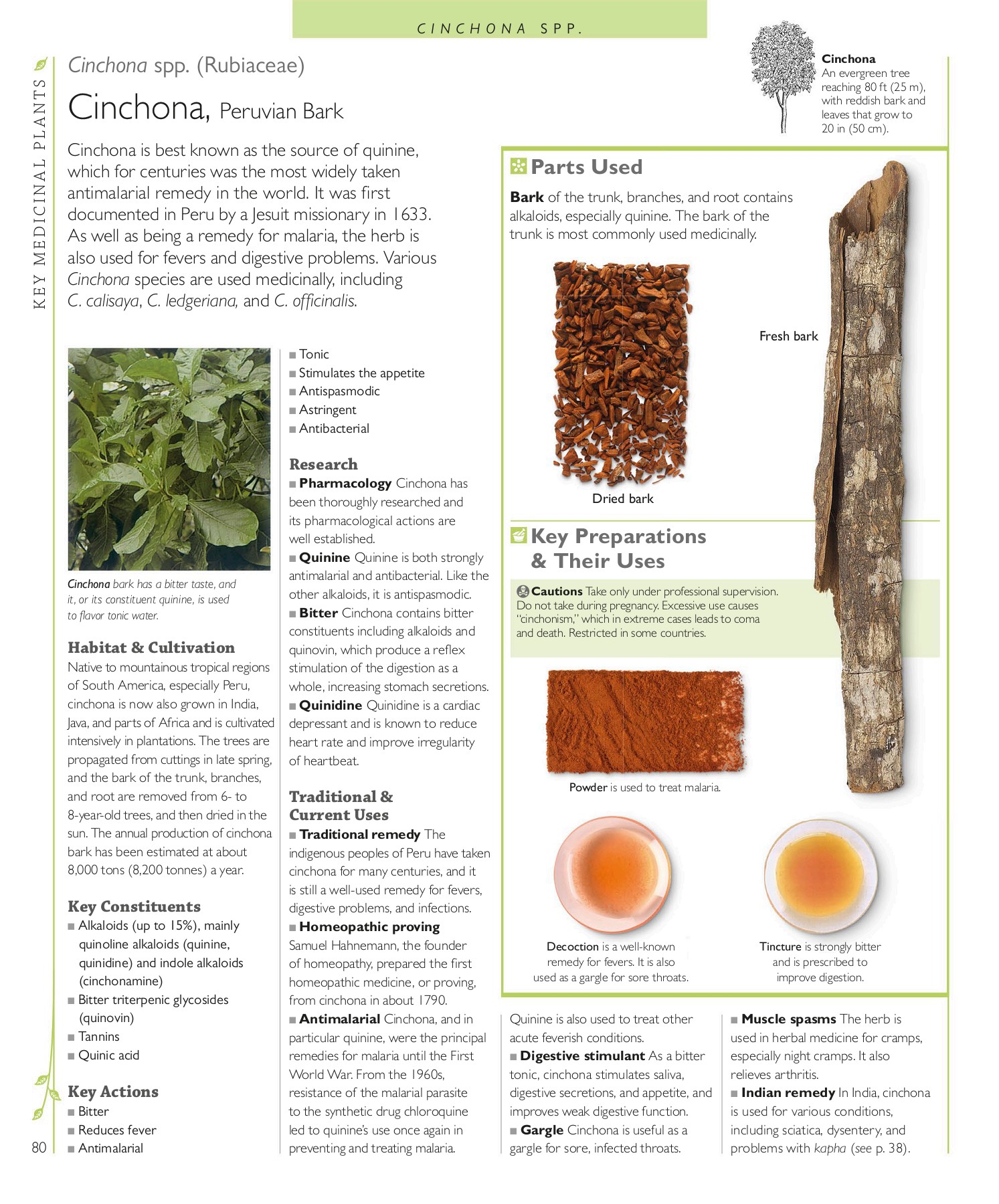 Encyclopedia of Herbal Medicine - THE MANTHAN SCHOOL - Page 82 | Flip ...