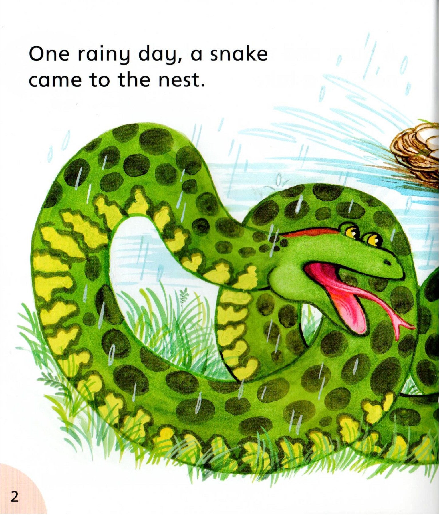 The Snake and the Drake. Oxford Reading Tree_ Level 4. Songbirds ...