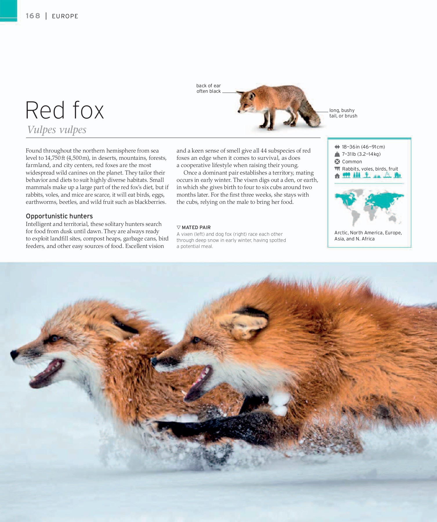 Wildlife of the world - THE MANTHAN SCHOOL - Page 170 | Flip PDF Online ...