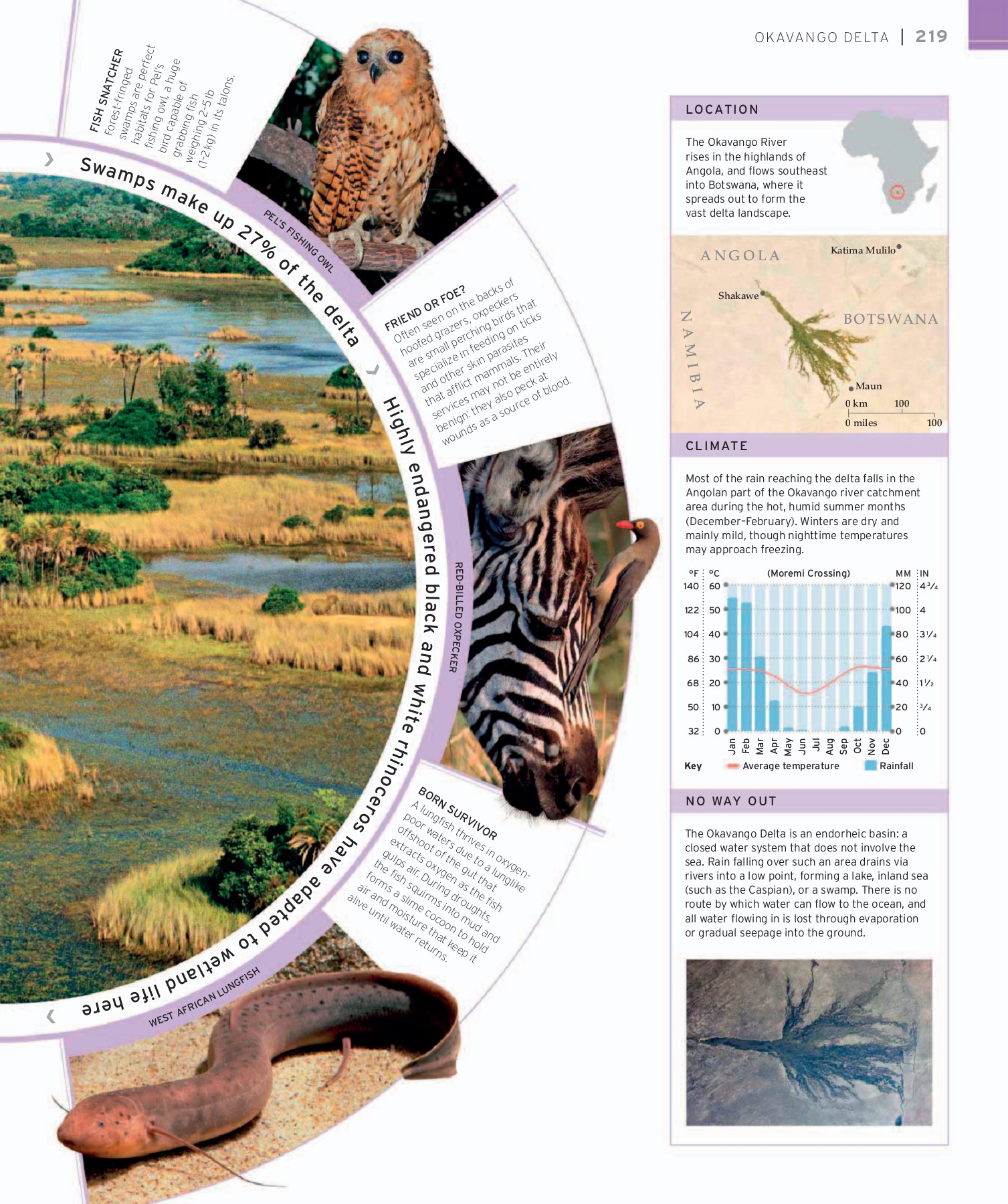 Wildlife of the world - THE MANTHAN SCHOOL - Page 221 | Flip PDF Online ...