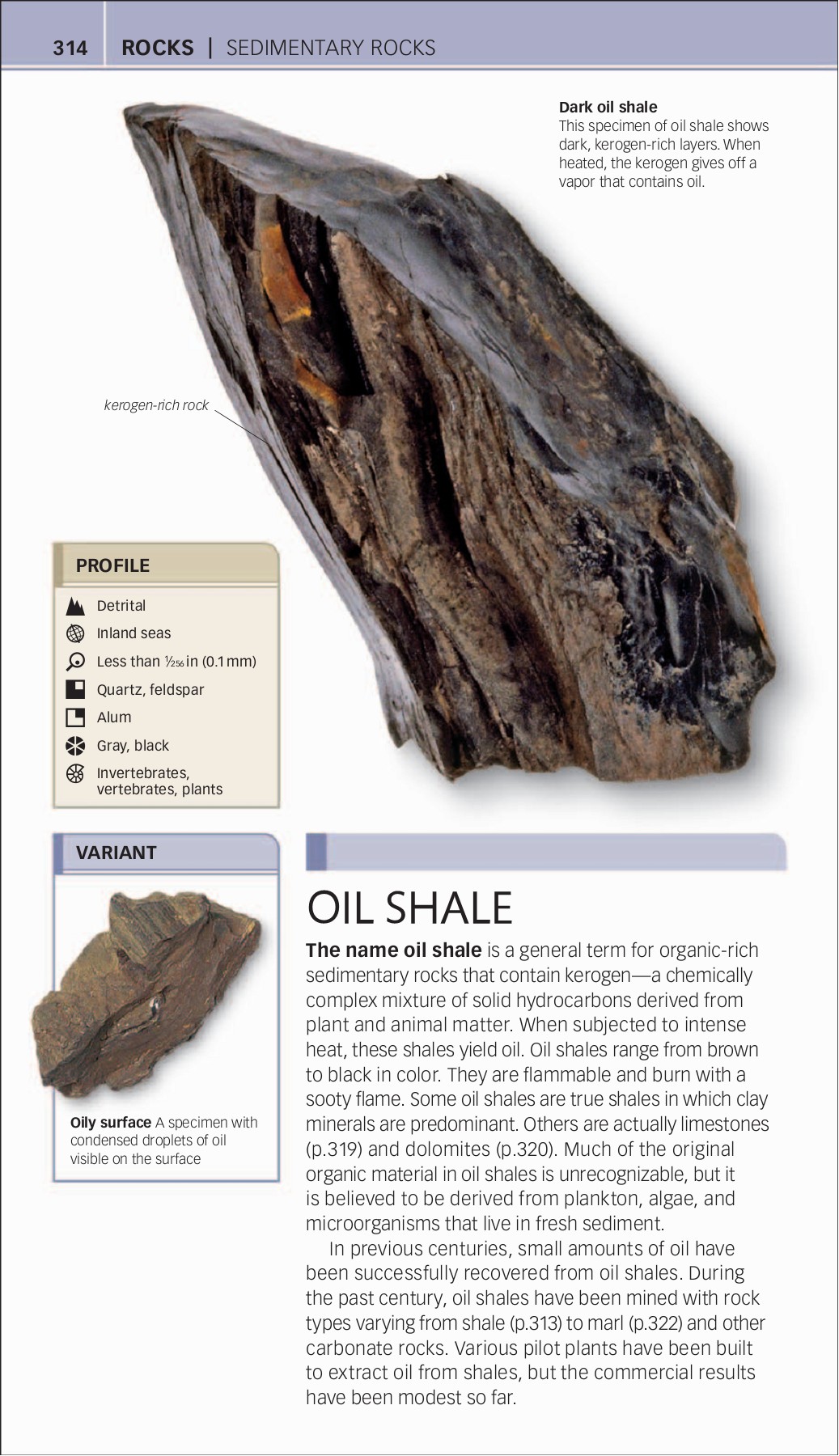 Nature Guide_ Rocks and Minerals - THE MANTHAN SCHOOL - Page 316 | Flip ...
