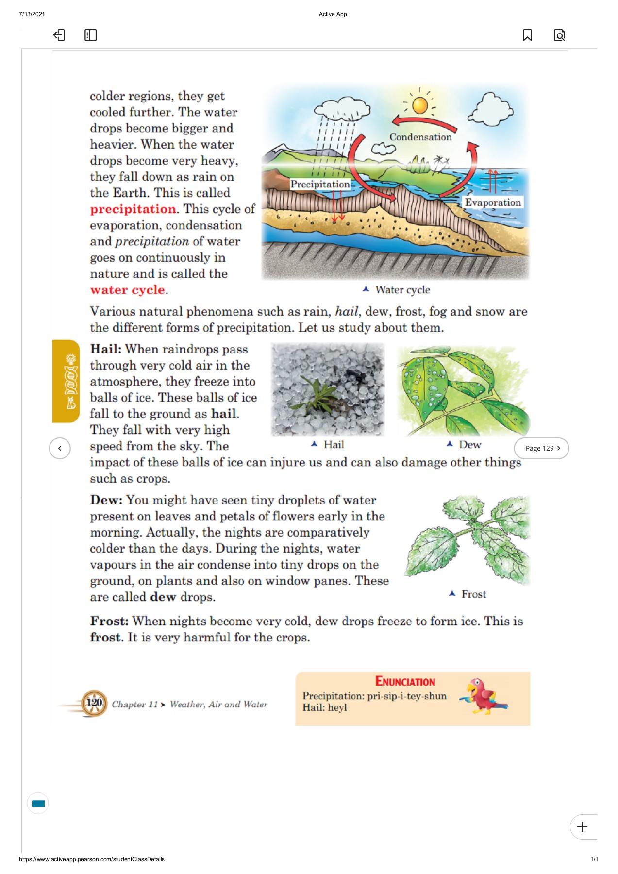 Universal Science Grade -4 - THE MANTHAN SCHOOL - Page 129 | Flip PDF ...