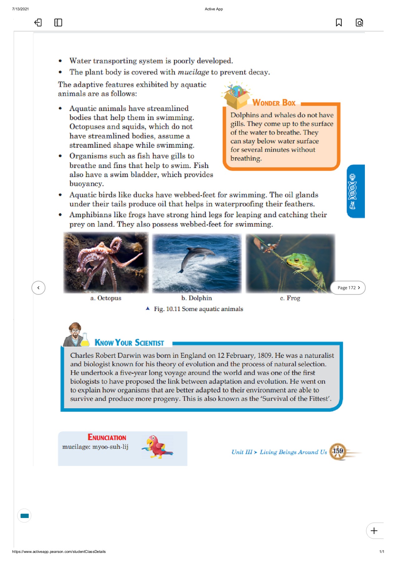Universal Science Grade-6 - THE MANTHAN SCHOOL - Page 171 | Flip PDF ...