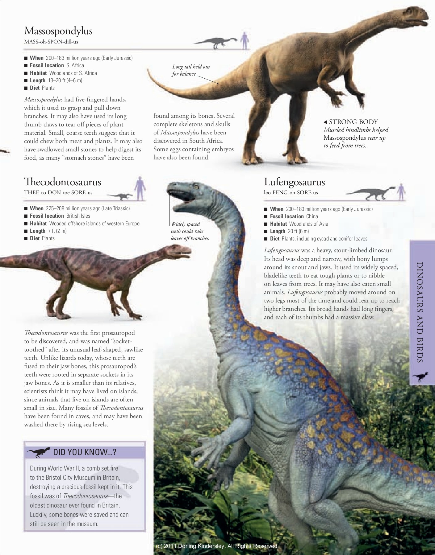 Dinosaurs A Visual Encyclopedia - THE MANTHAN SCHOOL - Page 148 | Flip ...