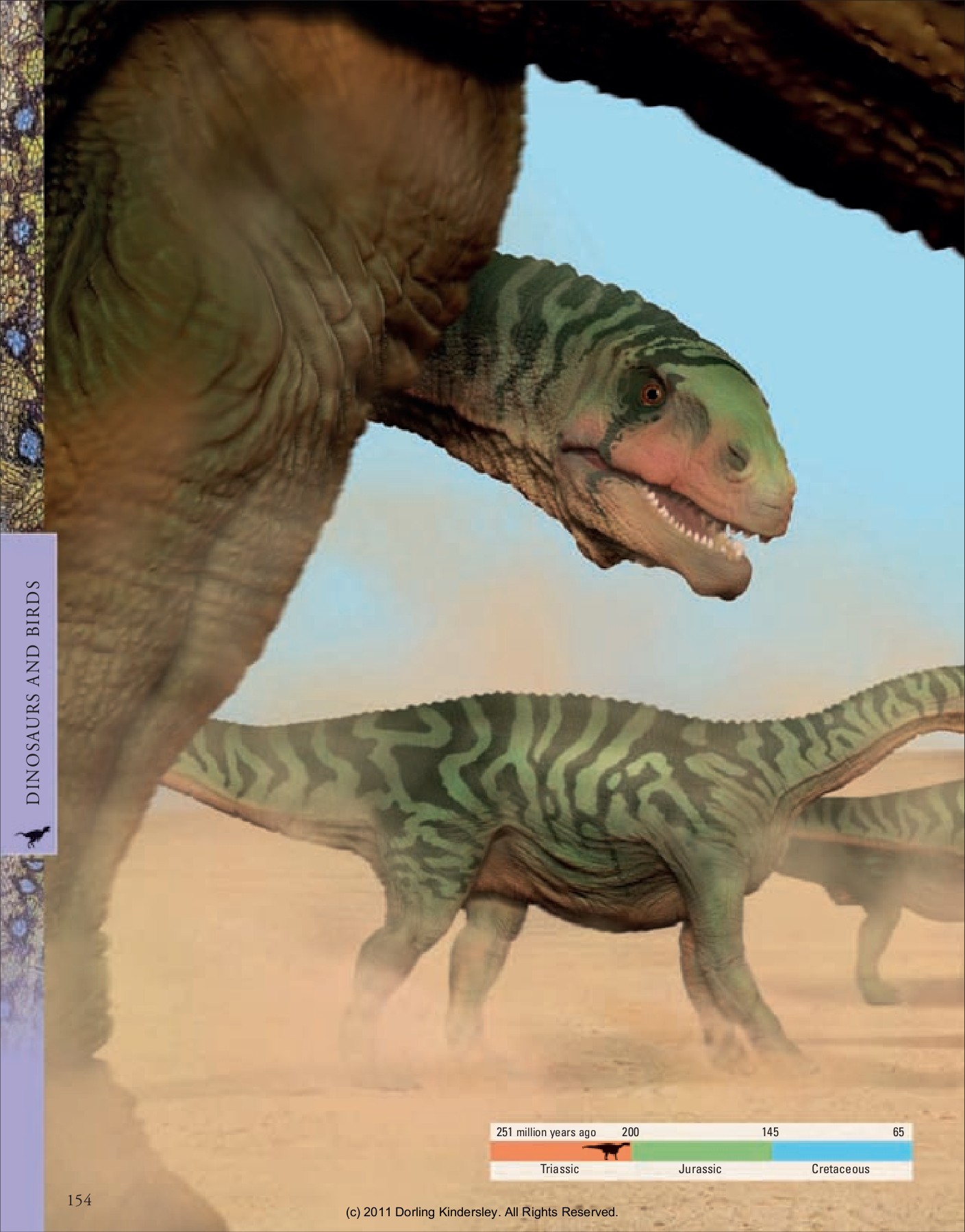 Dinosaurs A Visual Encyclopedia - THE MANTHAN SCHOOL - Page 153 | Flip ...