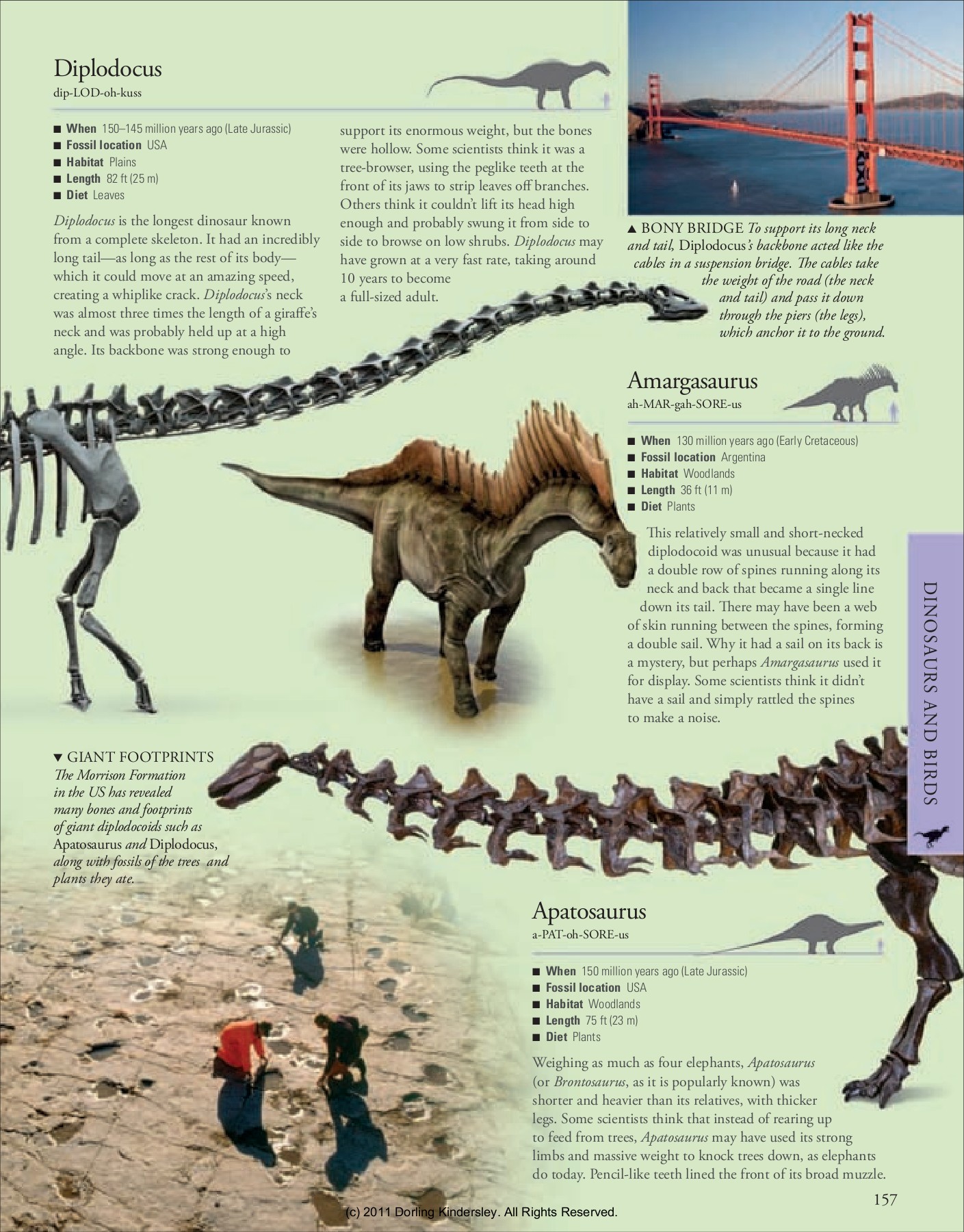 Dinosaurs A Visual Encyclopedia - THE MANTHAN SCHOOL - Page 156 | Flip ...