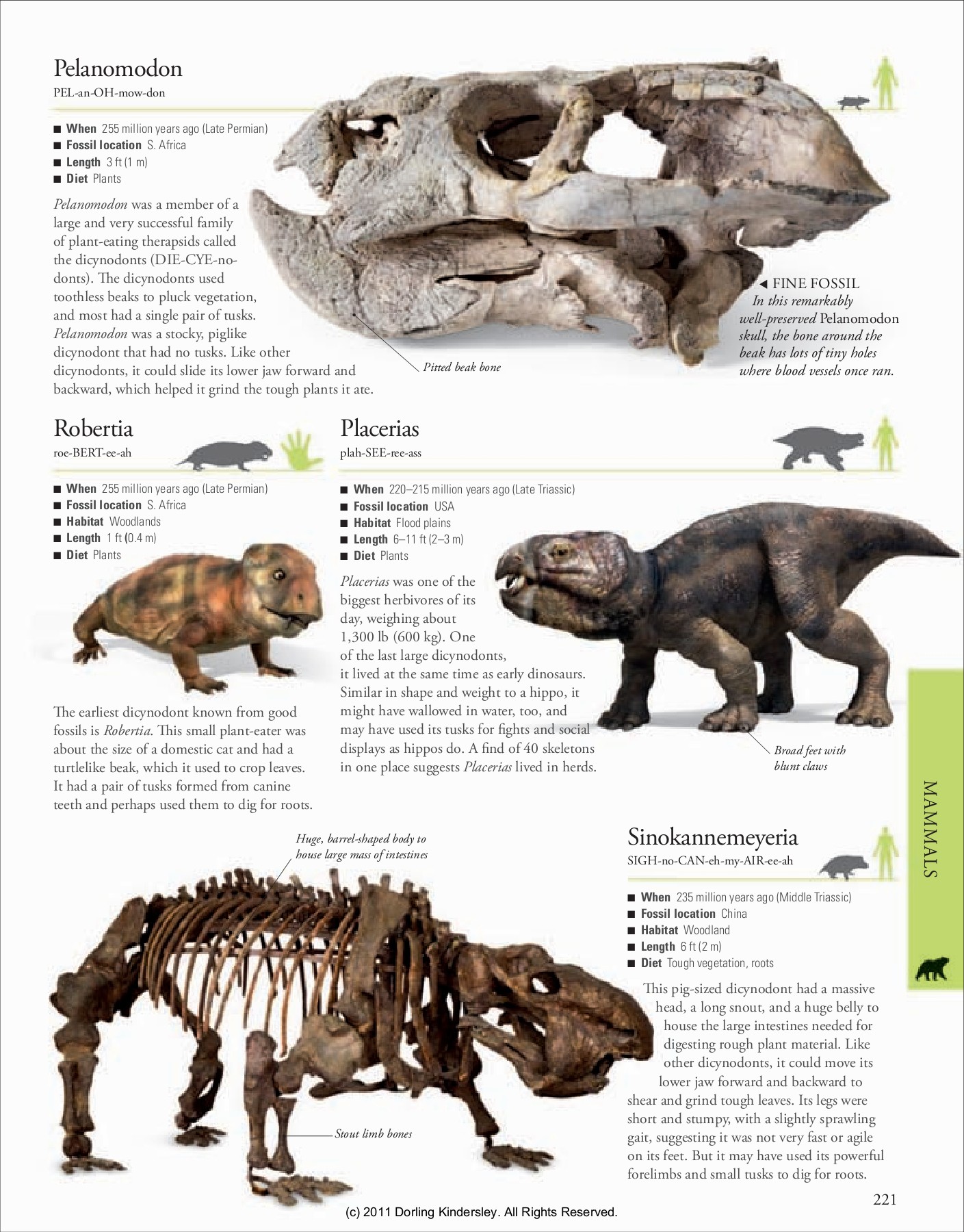 Dinosaurs A Visual Encyclopedia - THE MANTHAN SCHOOL | Flip PDF Online ...