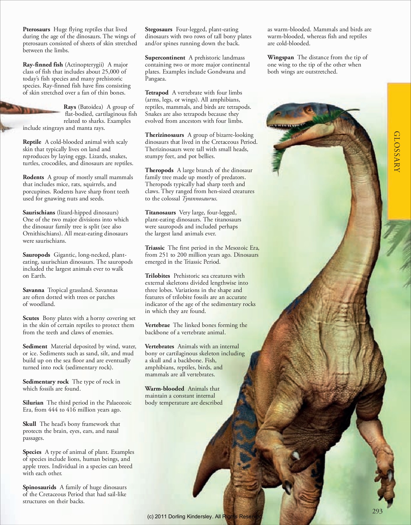 Dinosaurs A Visual Encyclopedia - THE MANTHAN SCHOOL - Page 292 | Flip ...