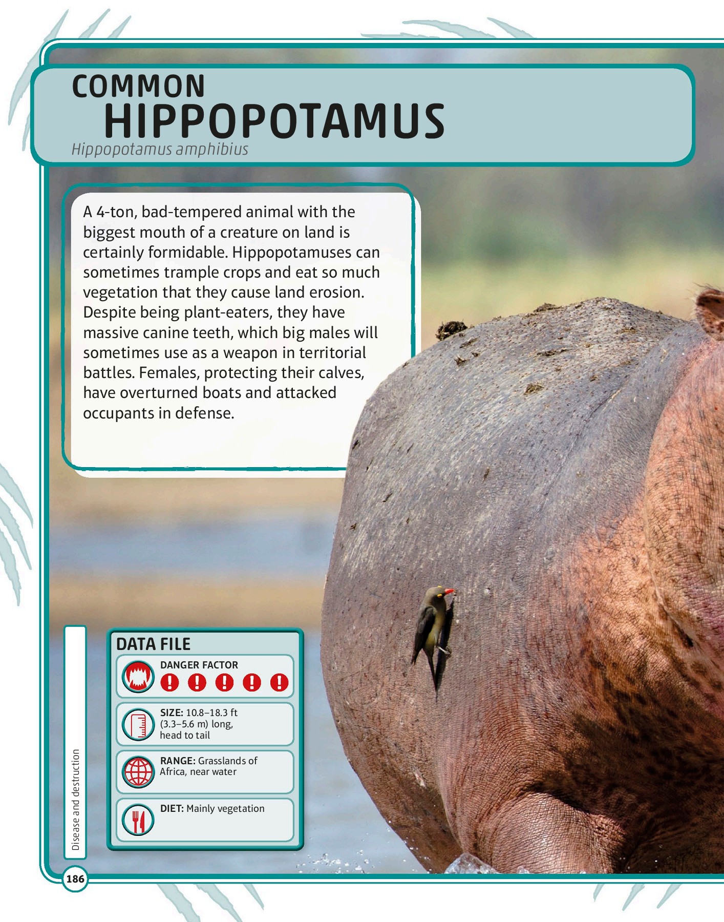 Nature’s Deadliest Creatures Visual Encyclopedia - THE MANTHAN SCHOOL ...