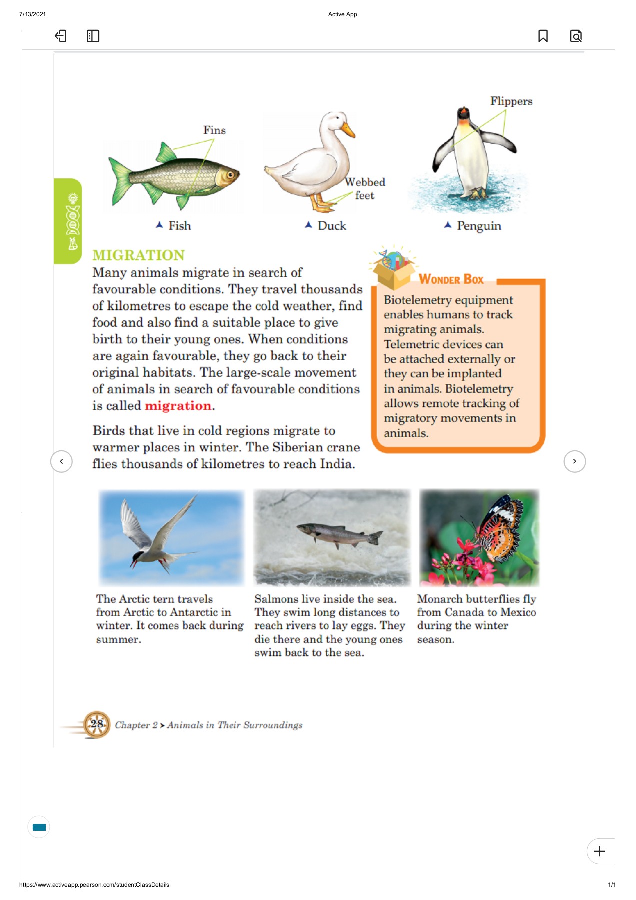 Universal Science Grade-5 - THE MANTHAN SCHOOL - Page 36 | Flip PDF ...