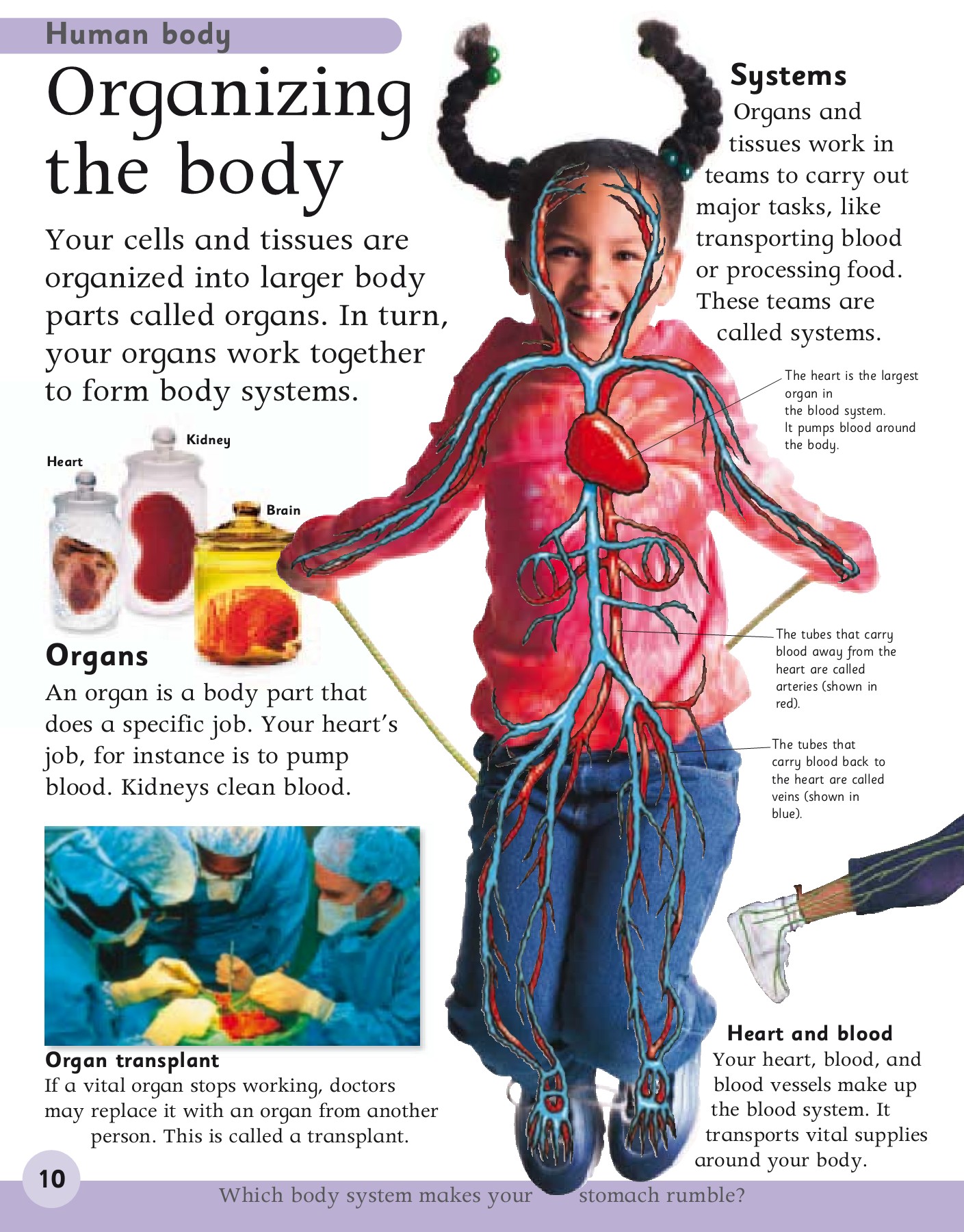 Human Body Encyclopedia - THE MANTHAN SCHOOL - Page 10 | Flip PDF ...