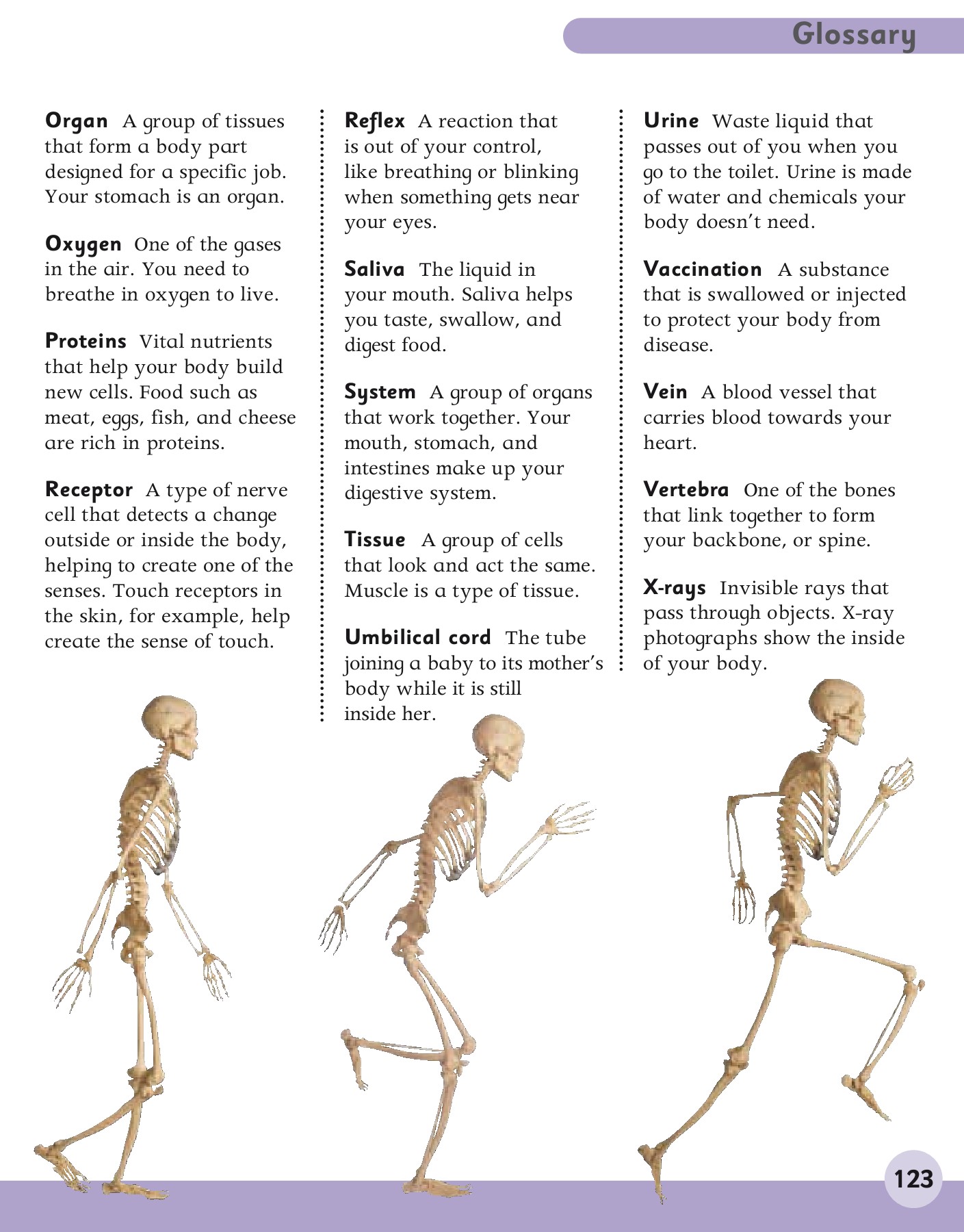 Human Body Encyclopedia - THE MANTHAN SCHOOL - Page 119 | Flip PDF ...