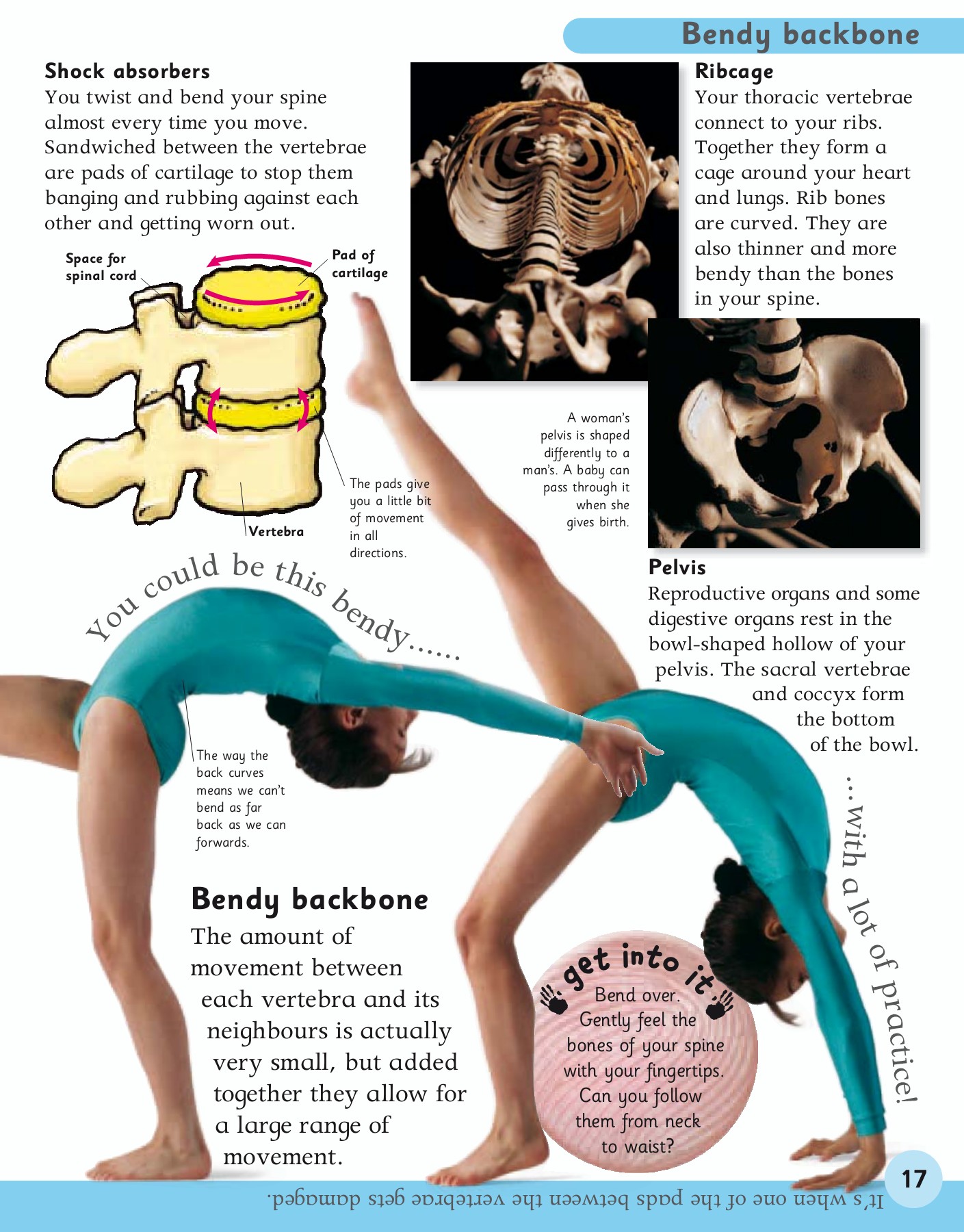 Human Body Encyclopedia - THE MANTHAN SCHOOL - Page 16 | Flip PDF ...