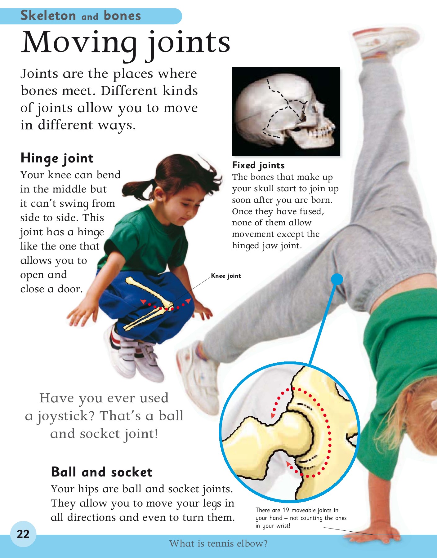 Human Body Encyclopedia - THE MANTHAN SCHOOL - Page 21 | Flip PDF ...