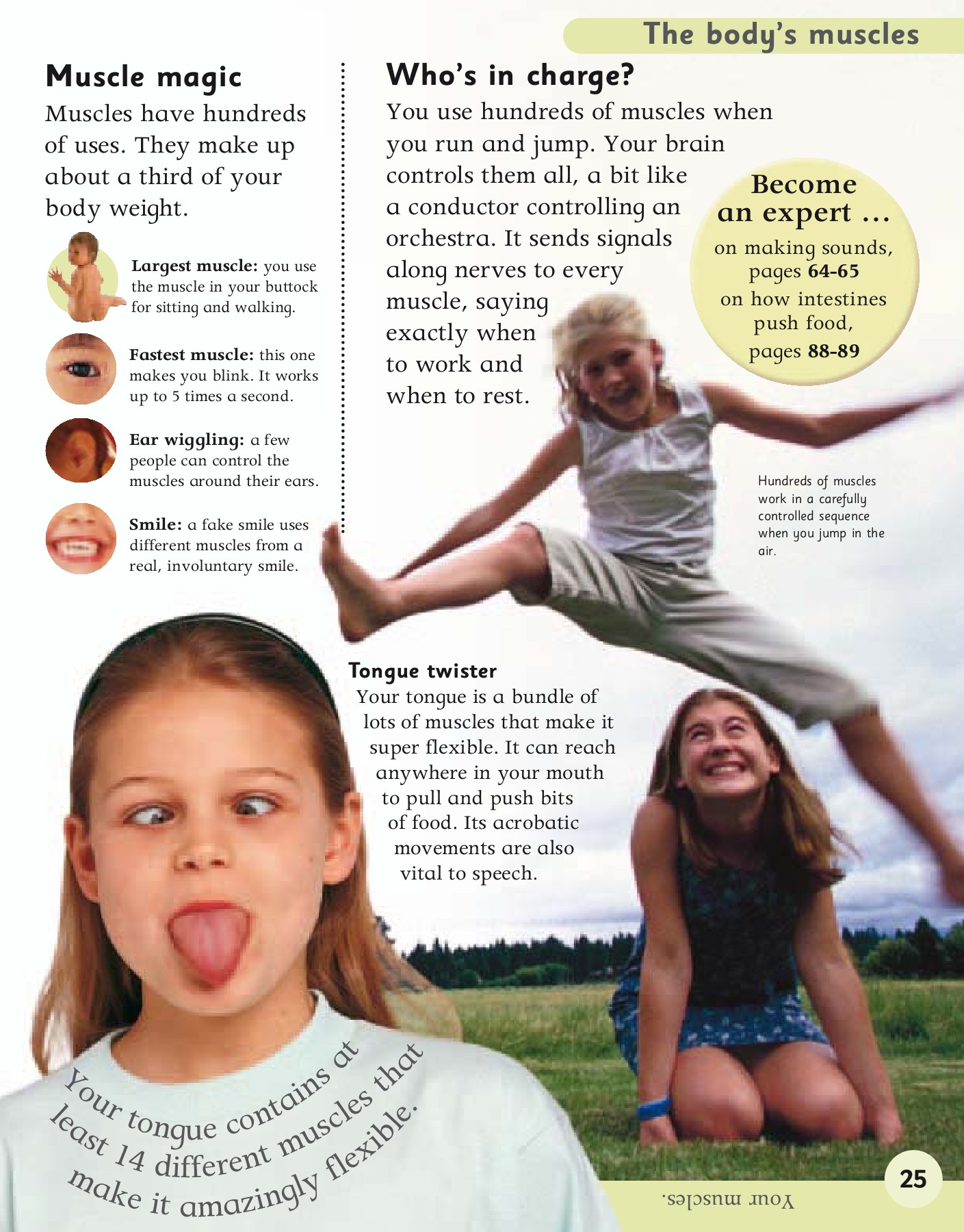 Human Body Encyclopedia - THE MANTHAN SCHOOL - Page 24 | Flip PDF ...