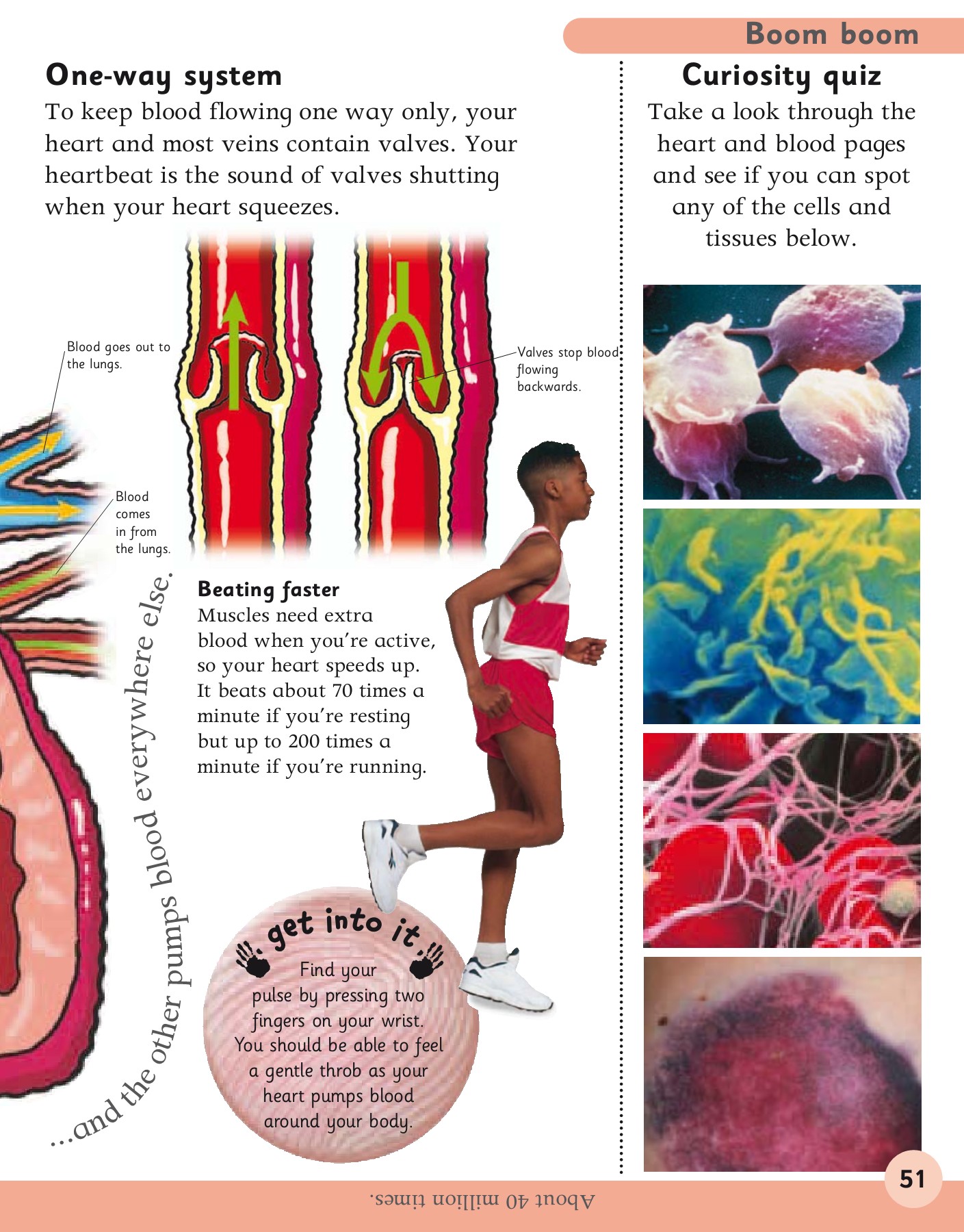 Human Body Encyclopedia - THE MANTHAN SCHOOL - Page 48 | Flip PDF ...
