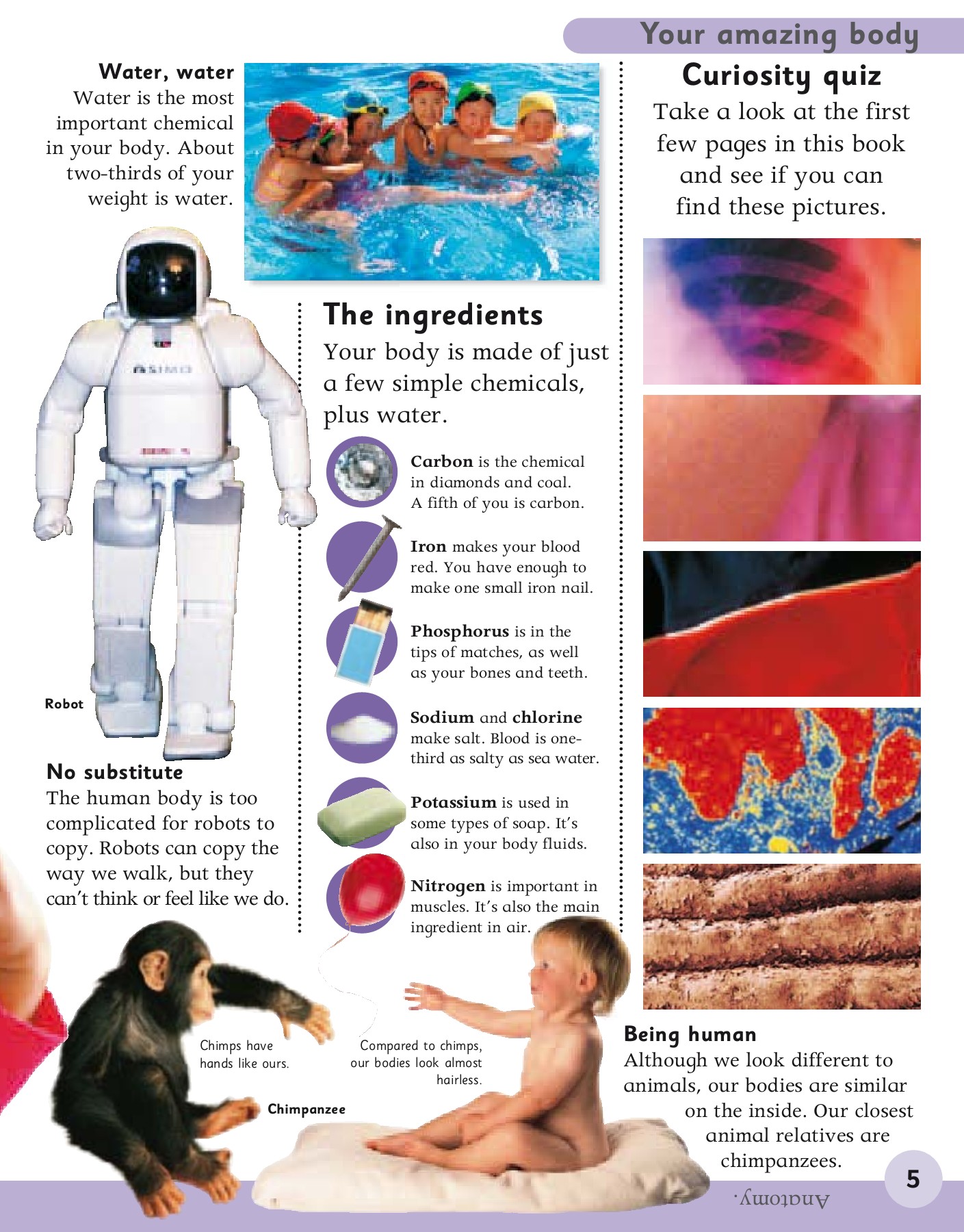 Human Body Encyclopedia - THE MANTHAN SCHOOL - Page 5 | Flip PDF Online ...