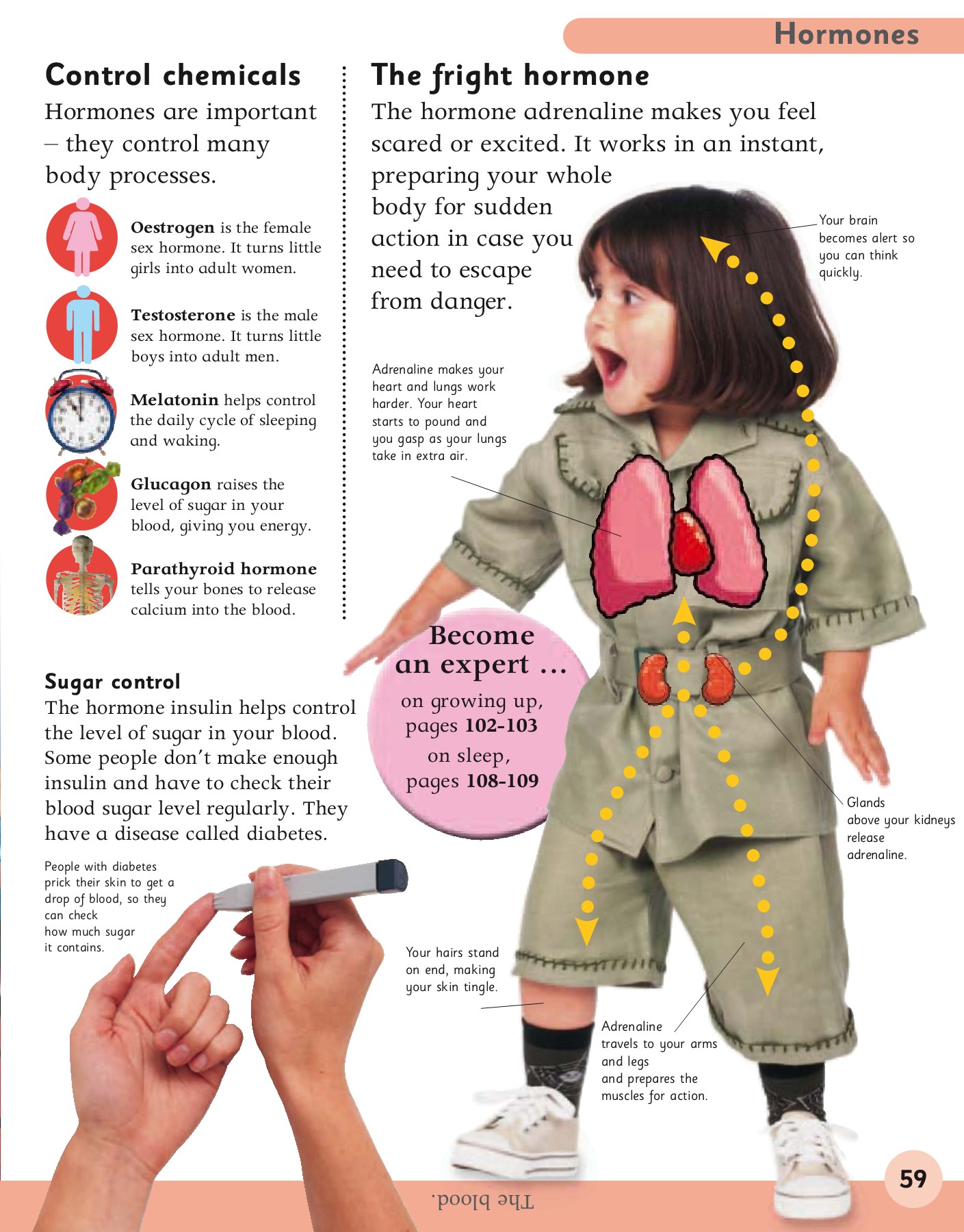 Human Body Encyclopedia - THE MANTHAN SCHOOL - Page 56 | Flip PDF ...