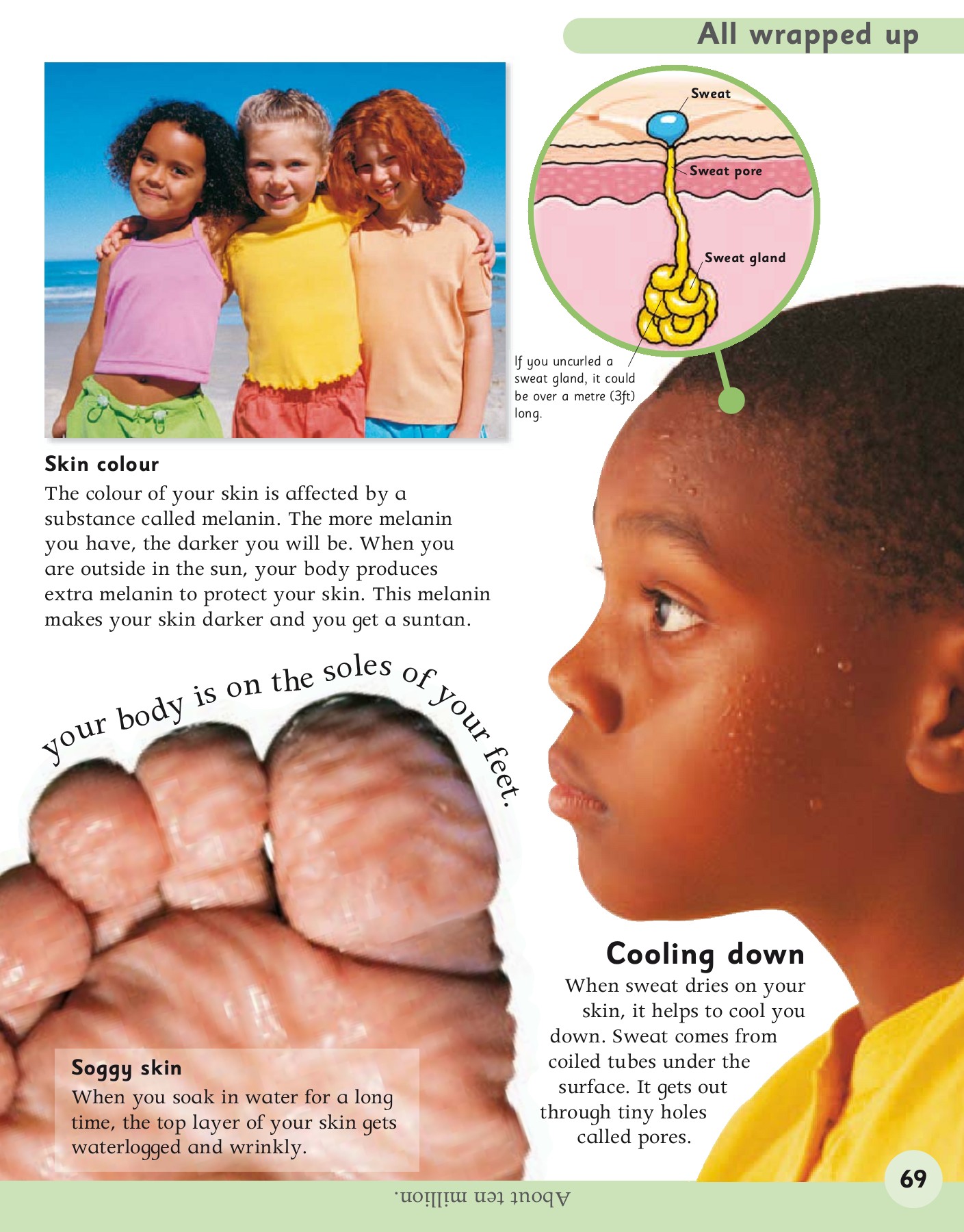 Human Body Encyclopedia - THE MANTHAN SCHOOL - Page 66 | Flip PDF ...