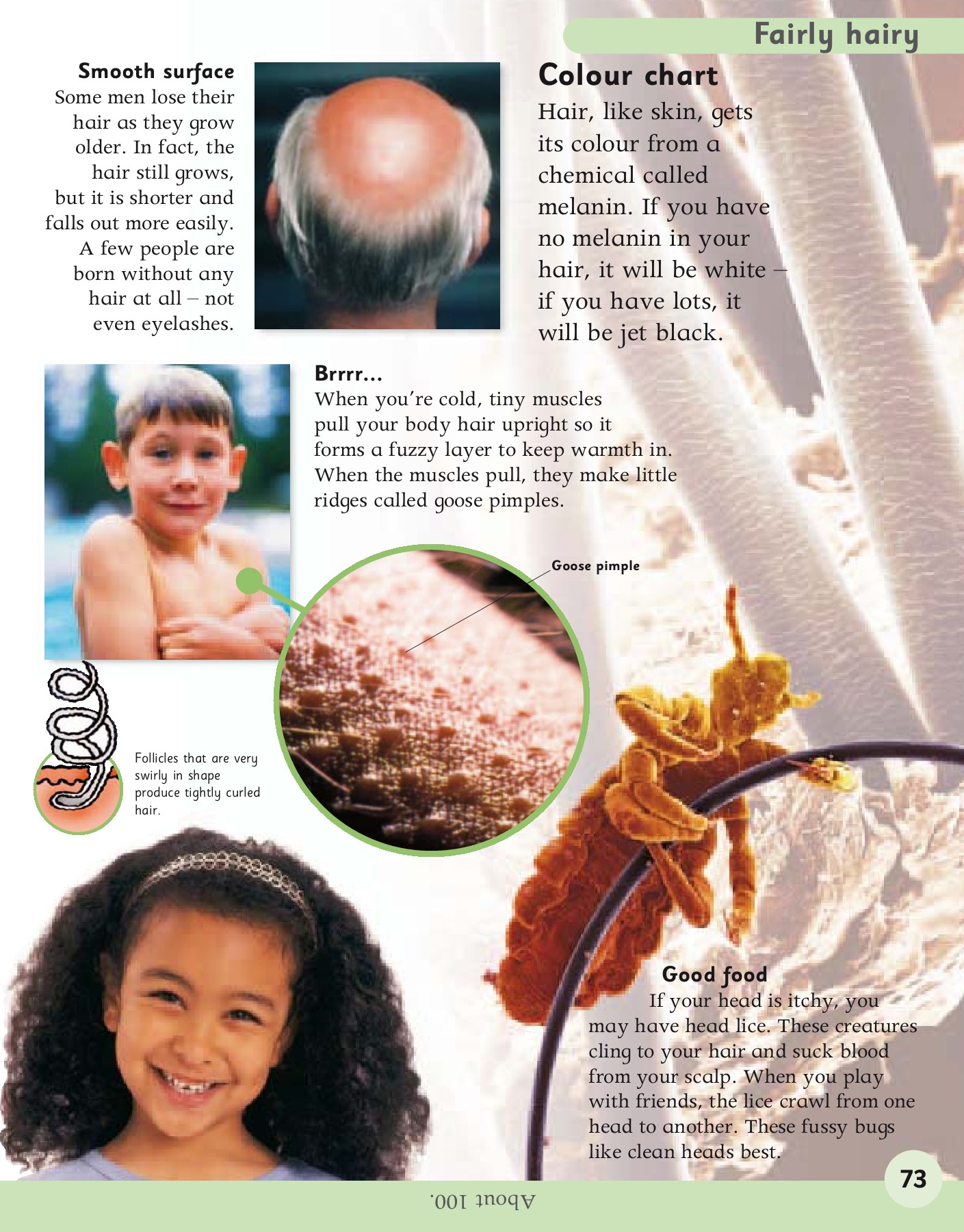 Human Body Encyclopedia - THE MANTHAN SCHOOL - Page 70 | Flip PDF ...