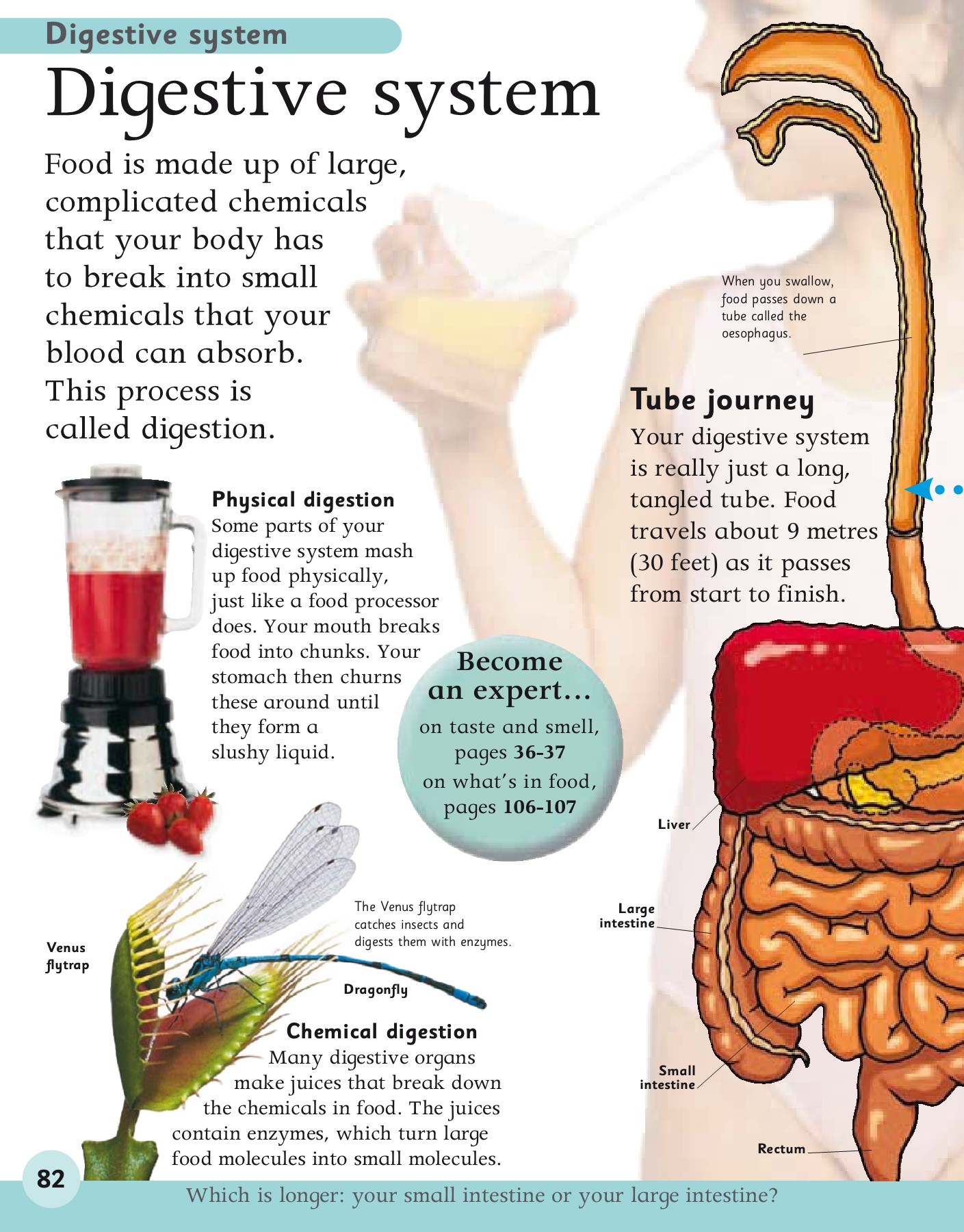 Human Body Encyclopedia - THE MANTHAN SCHOOL - Page 78 | Flip PDF ...