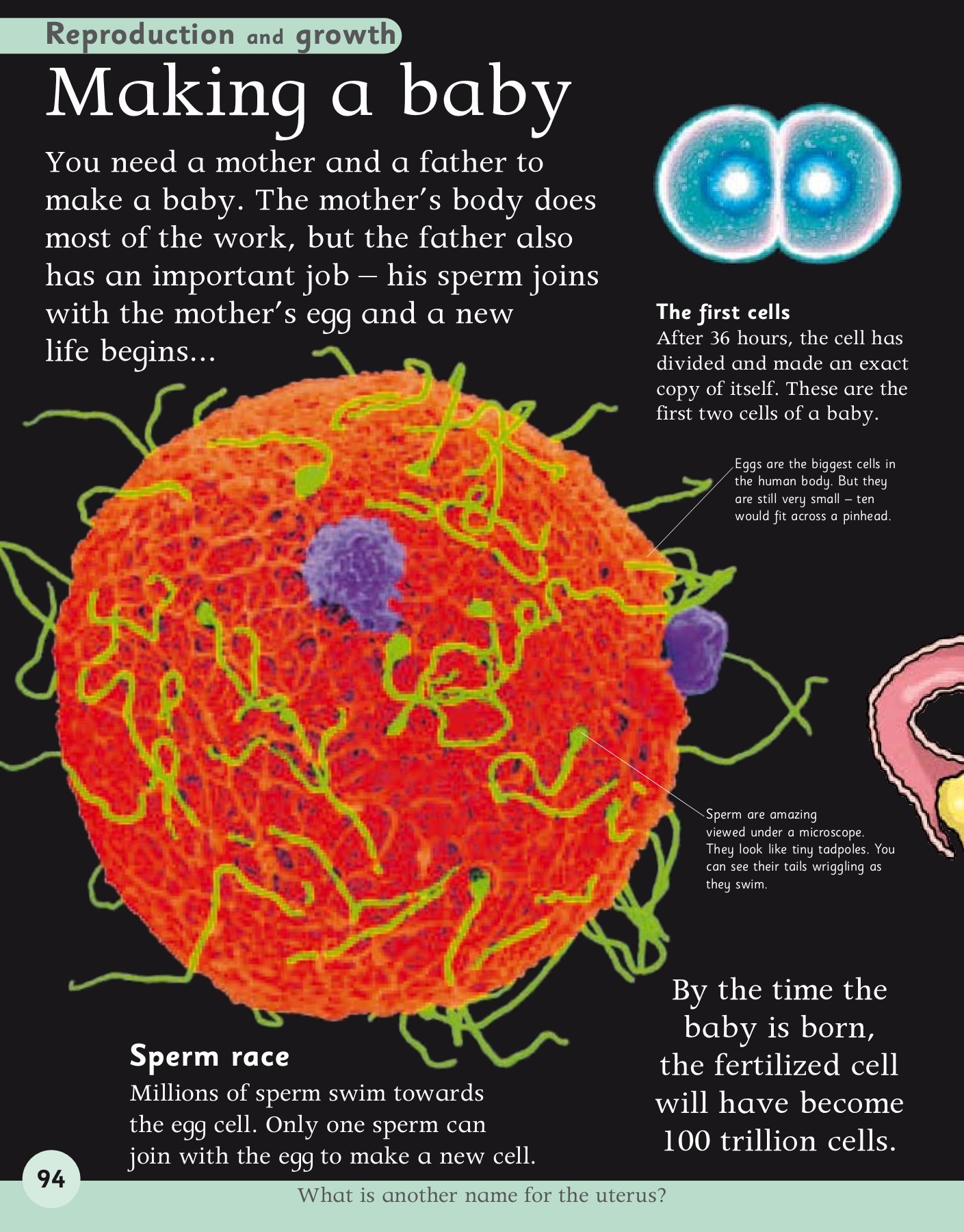Human Body Encyclopedia - THE MANTHAN SCHOOL - Page 90 | Flip PDF ...