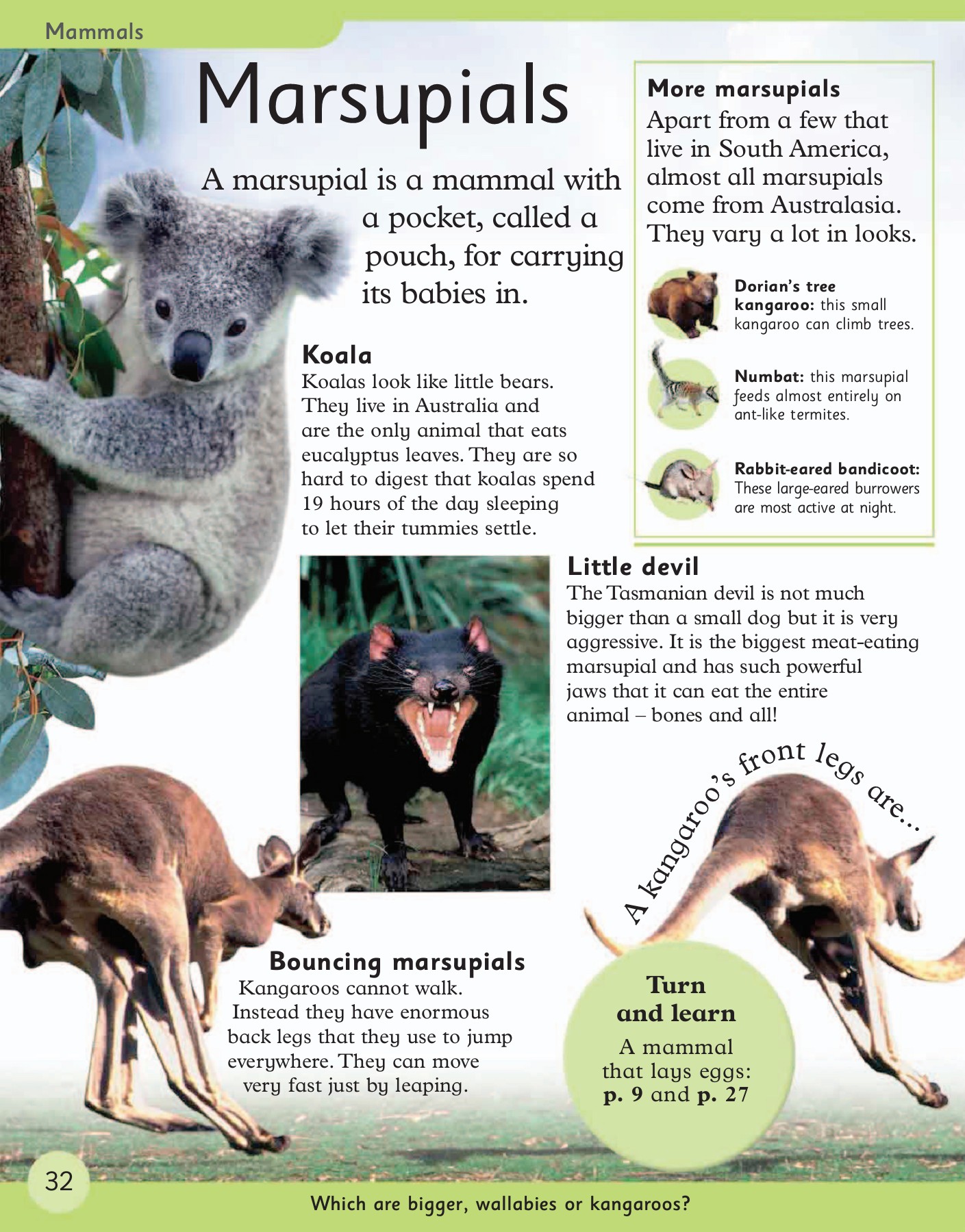 First Animal Encyclopedia - THE MANTHAN SCHOOL - Page 34 | Flip PDF ...