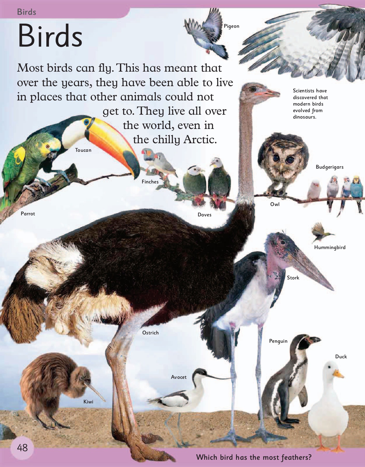 First Animal Encyclopedia - THE MANTHAN SCHOOL - Page 50 | Flip PDF ...