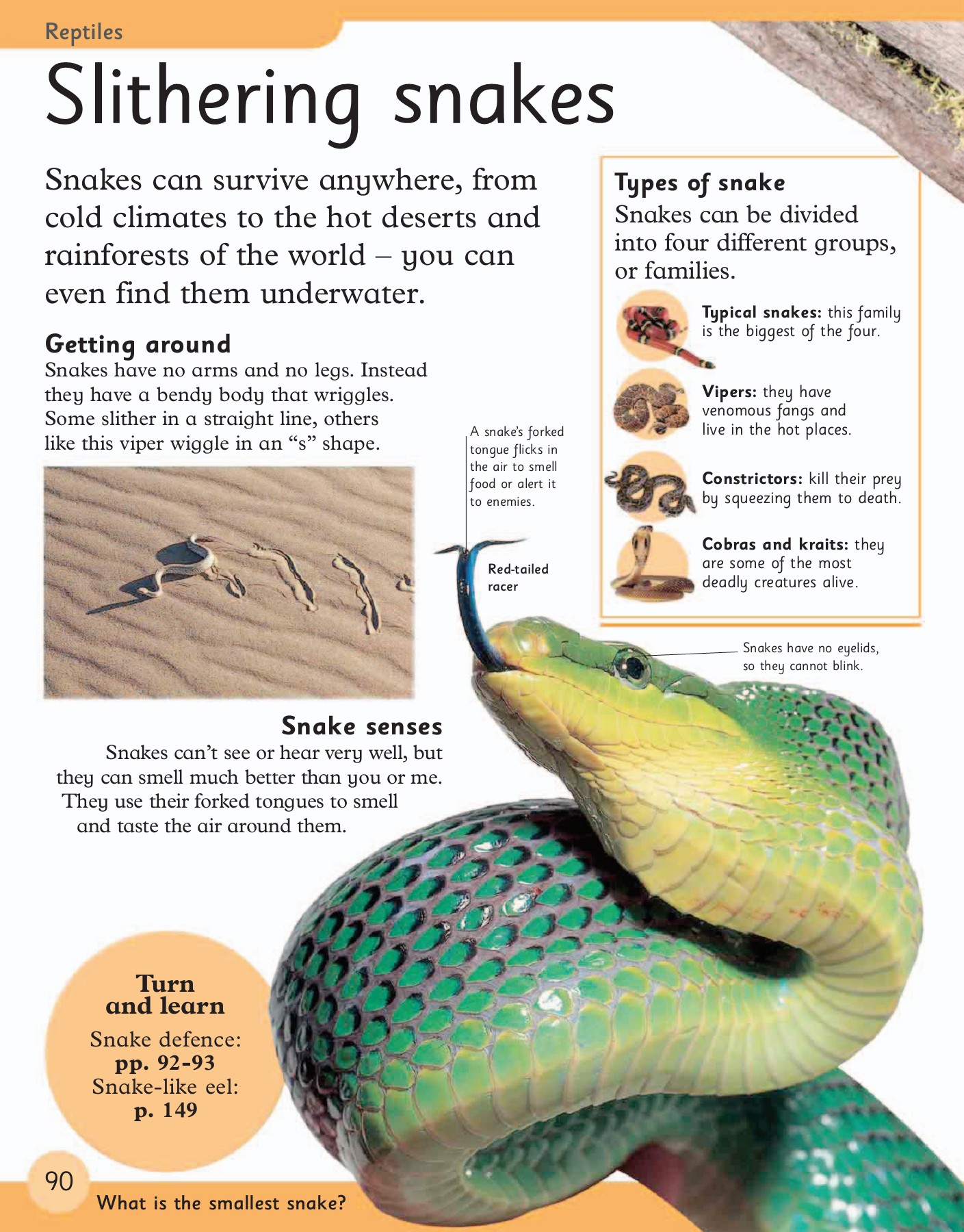 First Animal Encyclopedia - THE MANTHAN SCHOOL - Page 92 | Flip PDF ...