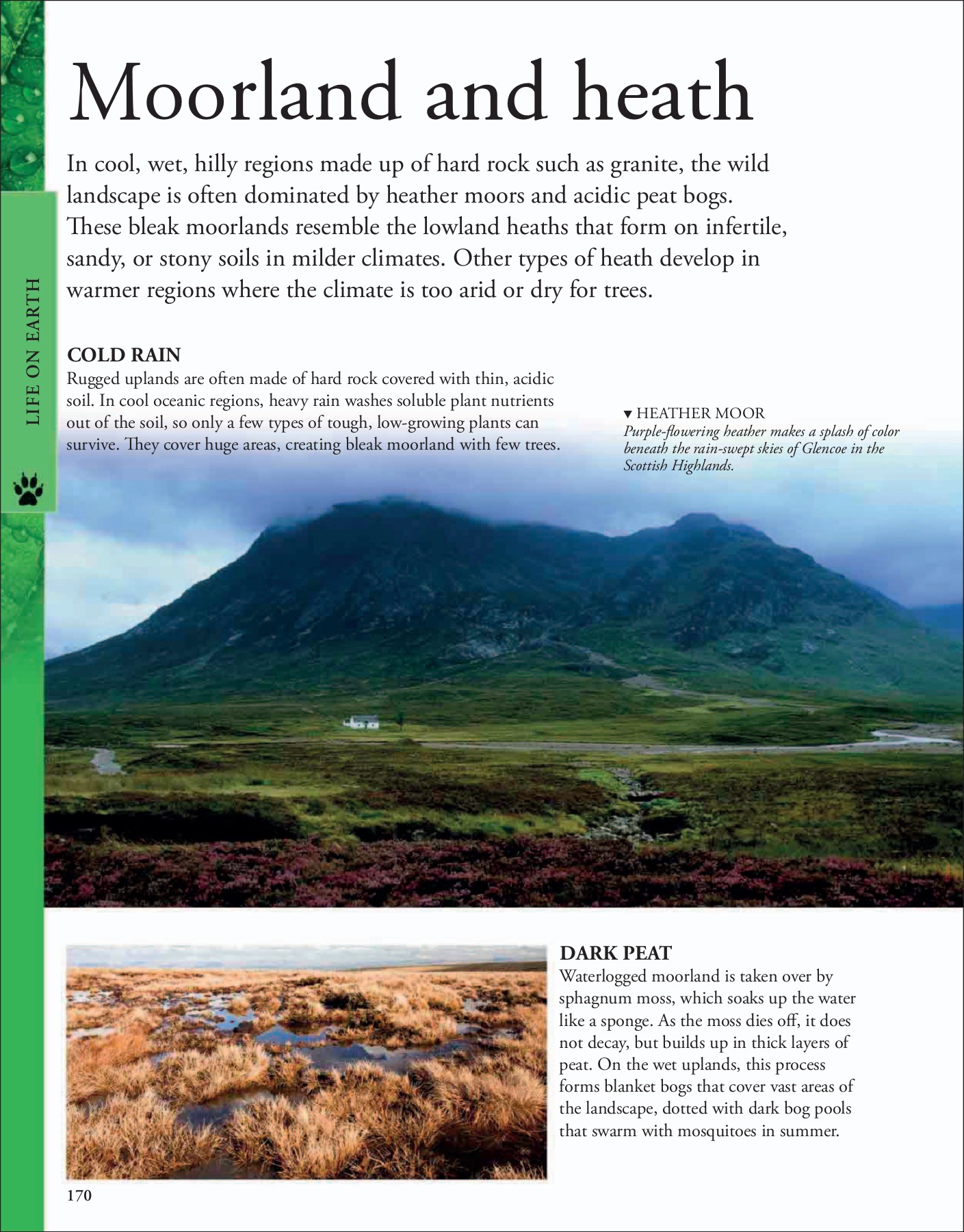 Geography_ A Visual Encyclopedia - THE MANTHAN SCHOOL - Page 172 | Flip ...