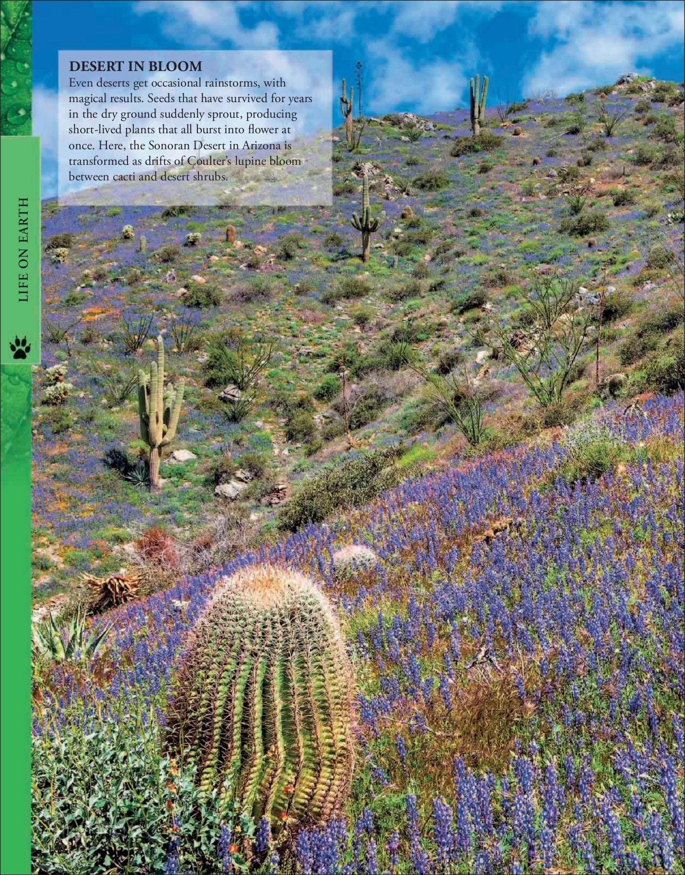 Geography_ A Visual Encyclopedia - THE MANTHAN SCHOOL - Page 182 | Flip ...