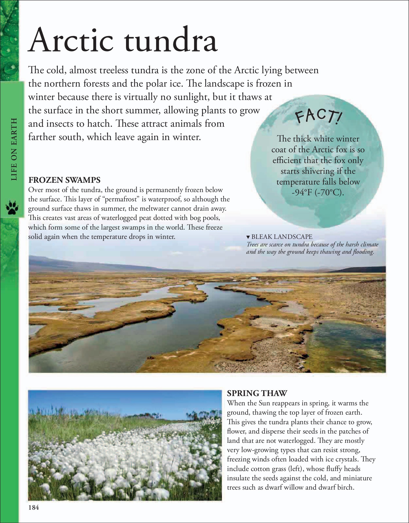 Geography_ A Visual Encyclopedia - THE MANTHAN SCHOOL - Page 186 | Flip ...