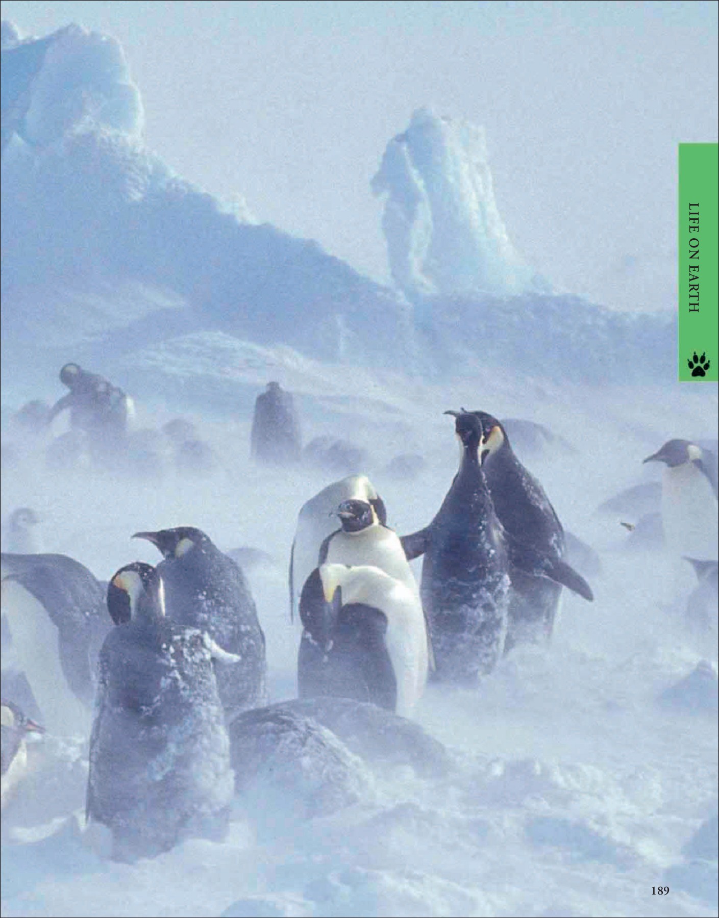 Geography_ A Visual Encyclopedia - THE MANTHAN SCHOOL - Page 191 | Flip ...