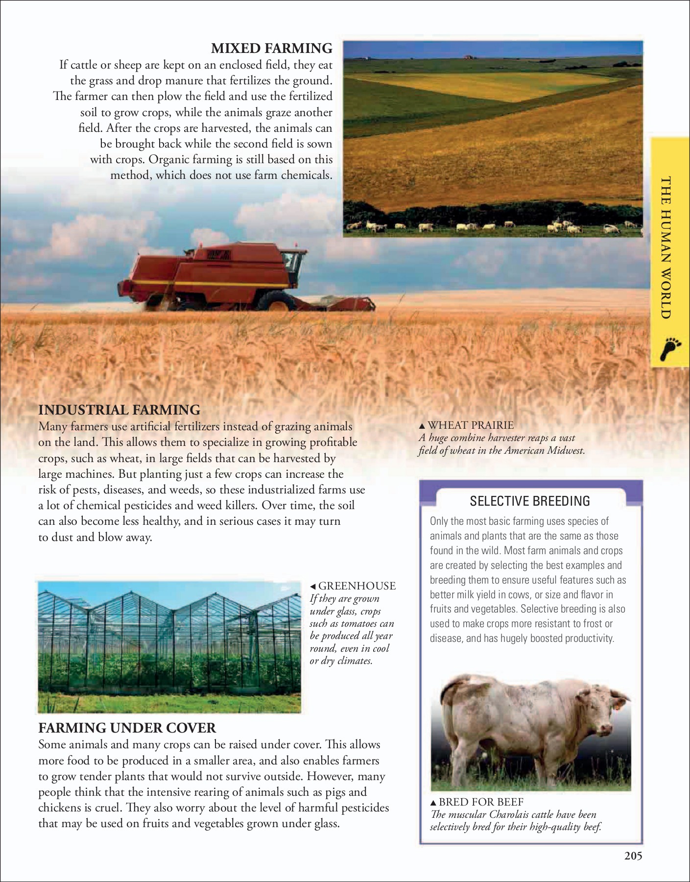 Geography_ A Visual Encyclopedia - THE MANTHAN SCHOOL - Page 207 | Flip ...