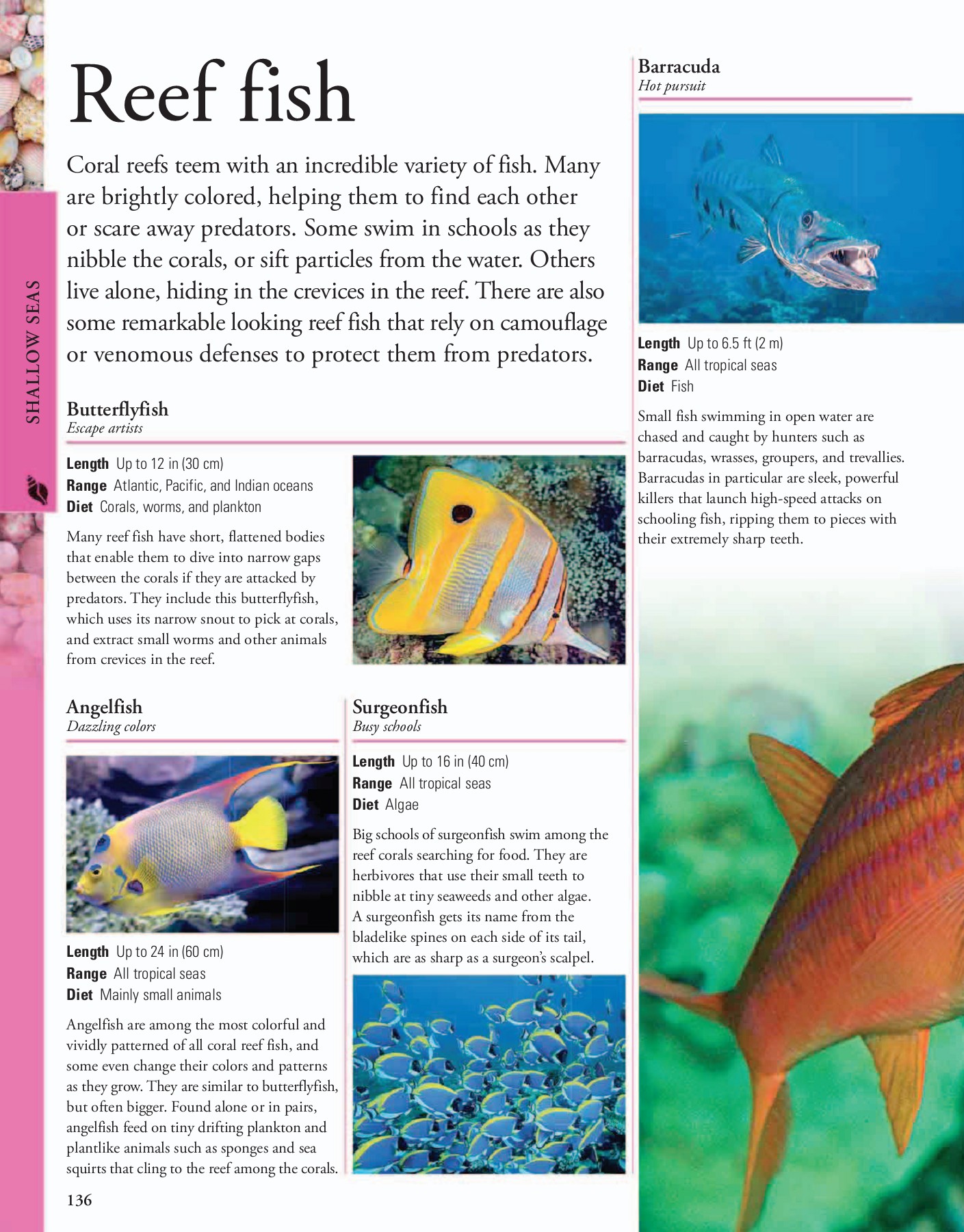 Ocean_ A Visual Encyclopedia - THE MANTHAN SCHOOL - Page 138 | Flip PDF Online | PubHTML5