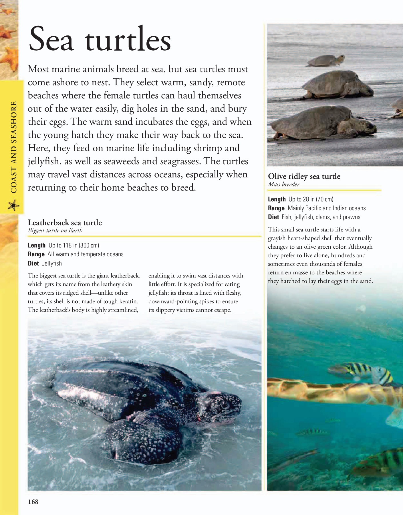 Ocean_ A Visual Encyclopedia - THE MANTHAN SCHOOL - Page 170 | Flip PDF Online | PubHTML5