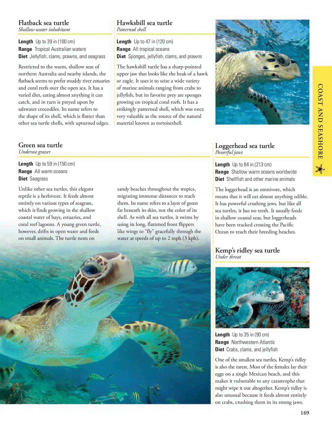 Ocean_ A Visual Encyclopedia - THE MANTHAN SCHOOL - Page 171 | Flip PDF Online | PubHTML5