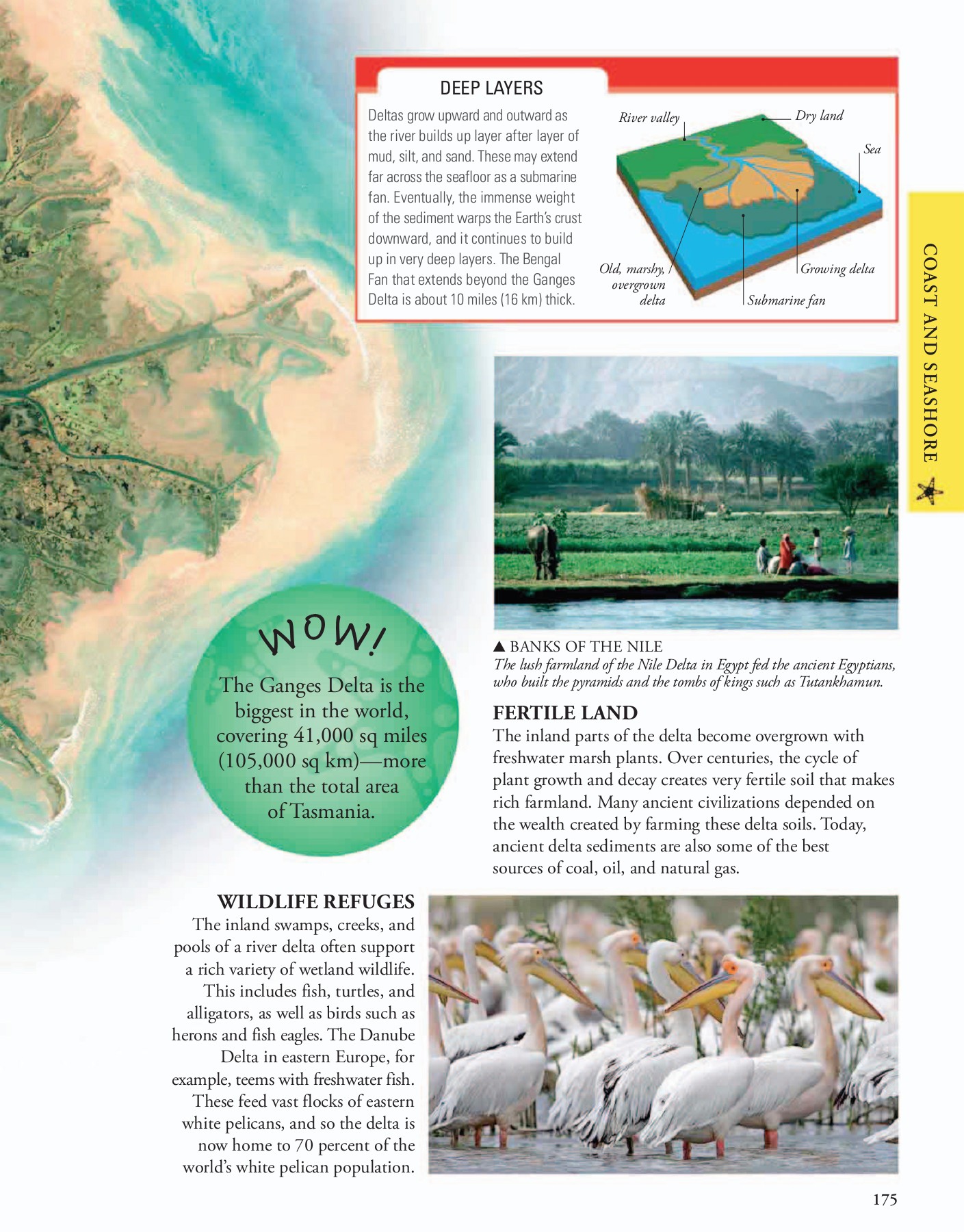 Ocean_ A Visual Encyclopedia - THE MANTHAN SCHOOL - Page 177 | Flip PDF Online | PubHTML5