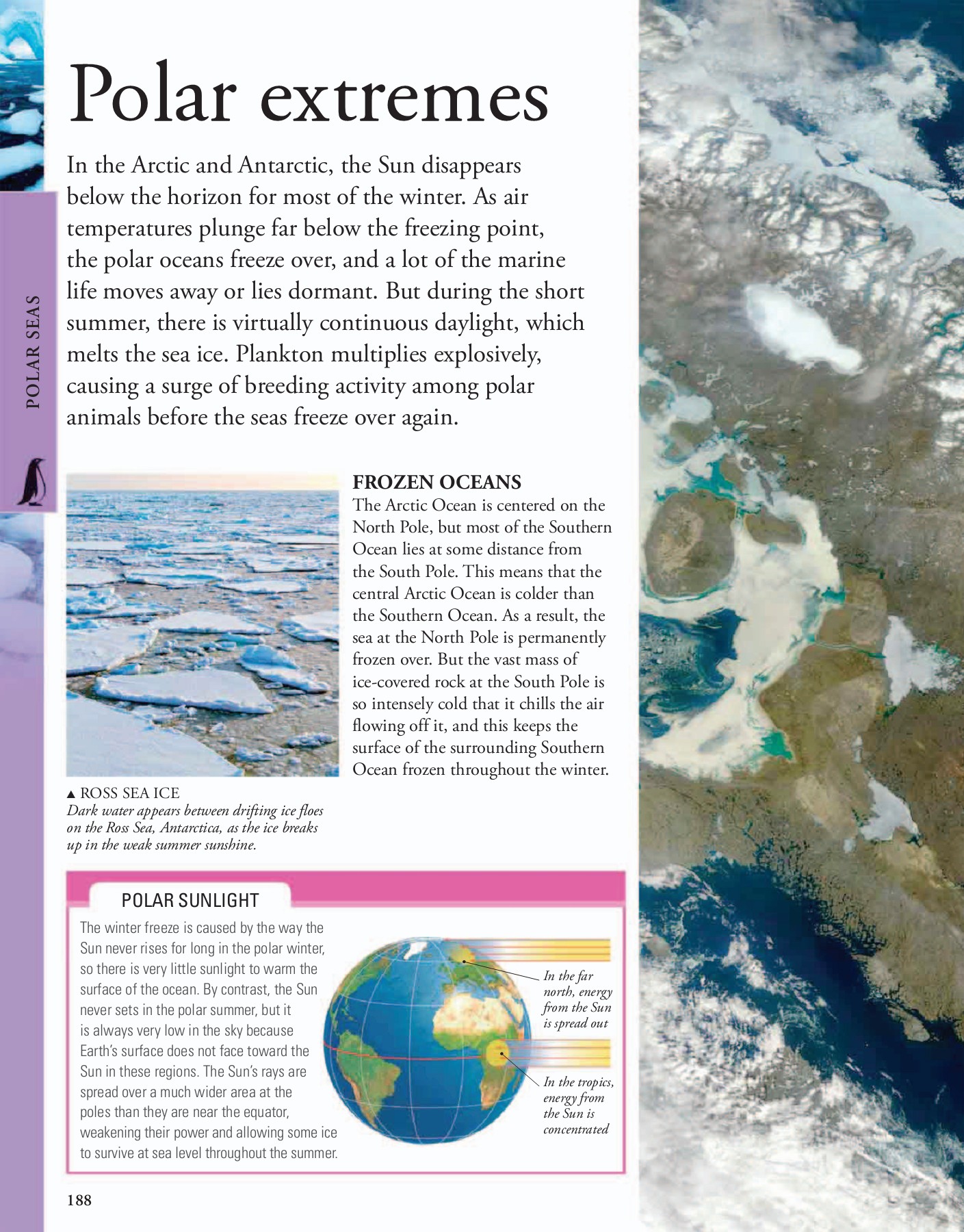 Ocean_ A Visual Encyclopedia - THE MANTHAN SCHOOL - Page 190 | Flip PDF Online | PubHTML5