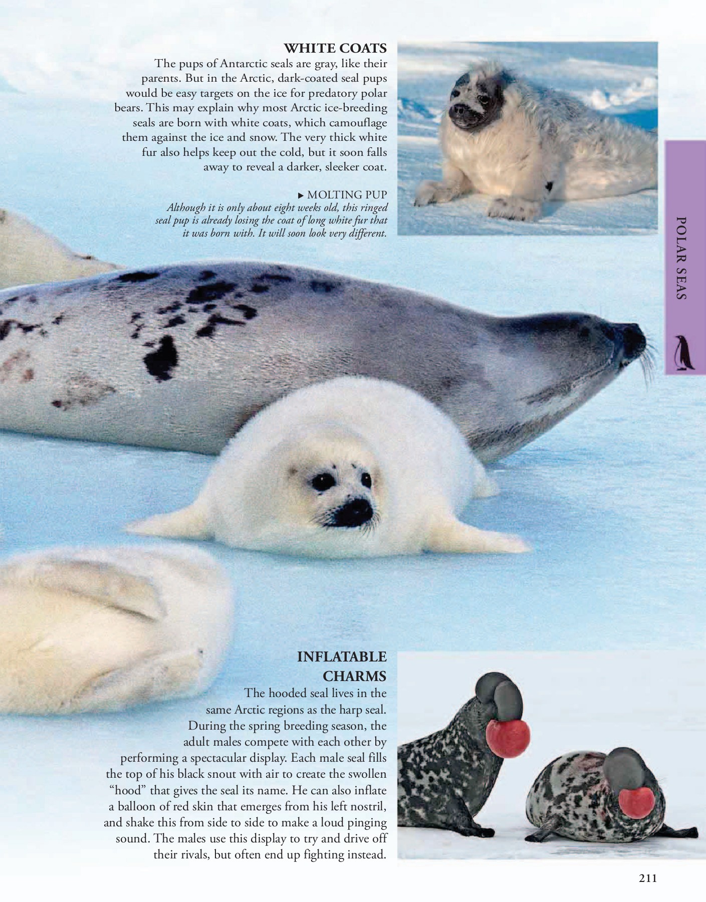 Ocean_ A Visual Encyclopedia - THE MANTHAN SCHOOL - Page 213 | Flip PDF Online | PubHTML5