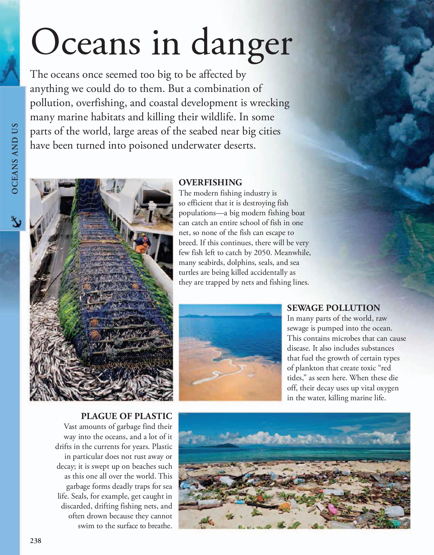 Ocean_ A Visual Encyclopedia - THE MANTHAN SCHOOL - Page 240 | Flip PDF Online | PubHTML5