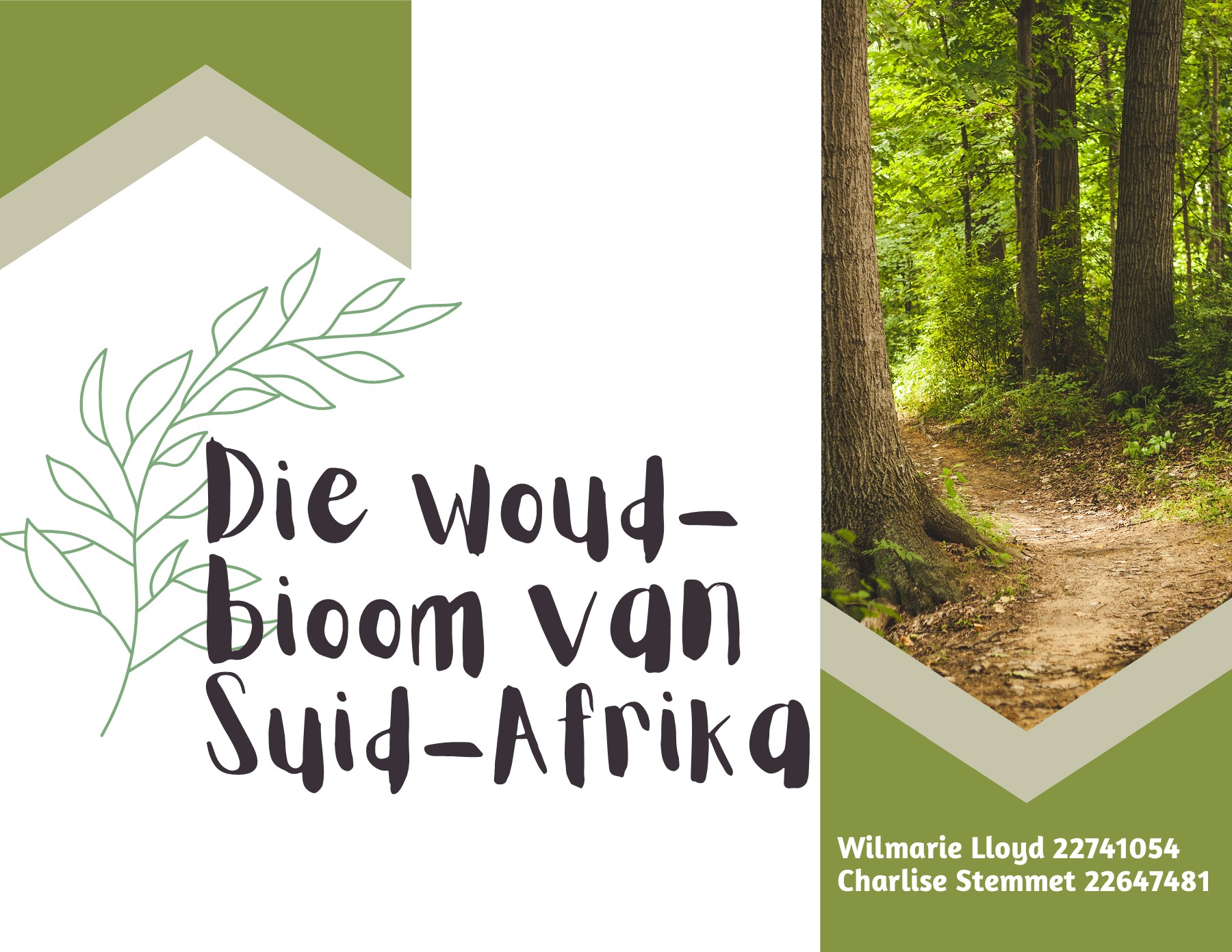 Die woudbioom van Suid-Afrika - wilmarielloyd2 - Bladsy 1 - 8 | PDF ...
