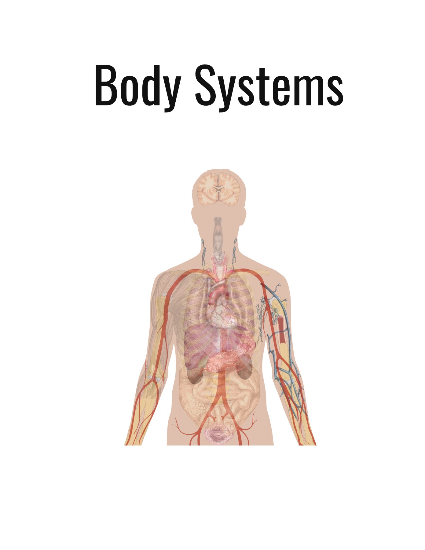 body system flipbook - crinerchloe - Page 1 - 6 | Flip PDF Online ...