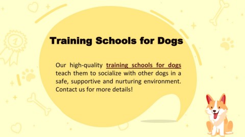 Training Schools for Dogs