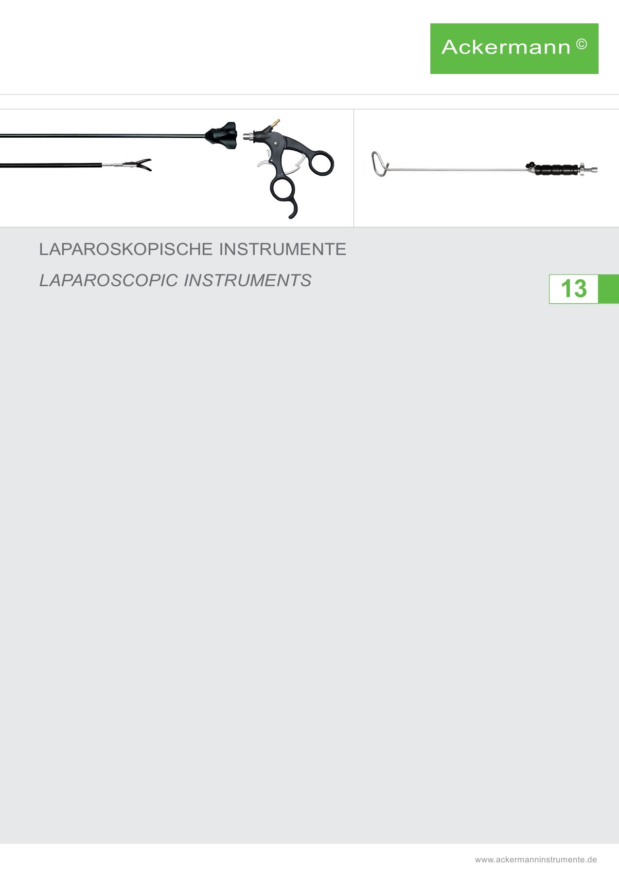 Endoscopic Instruments - Ackermann Instrumente GmbH - Page 1 - 60 ...