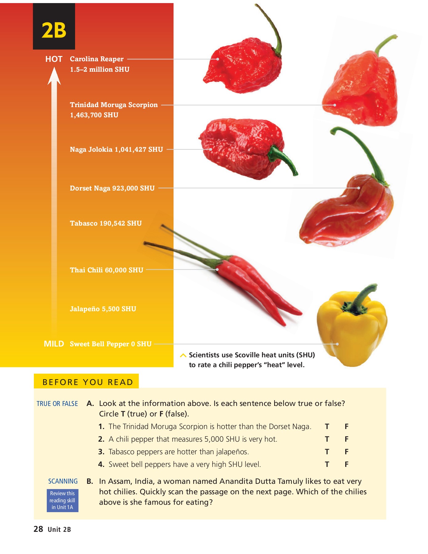 3Edition RE Foundations 2B The Hottest Chilies ...